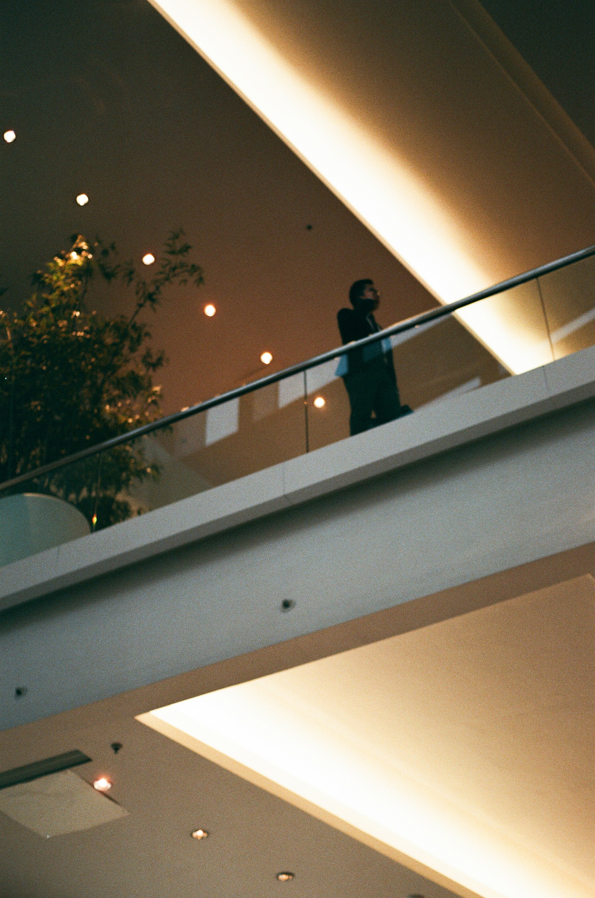 Man walking inside building beside handrail photo – Free Film Image on ...