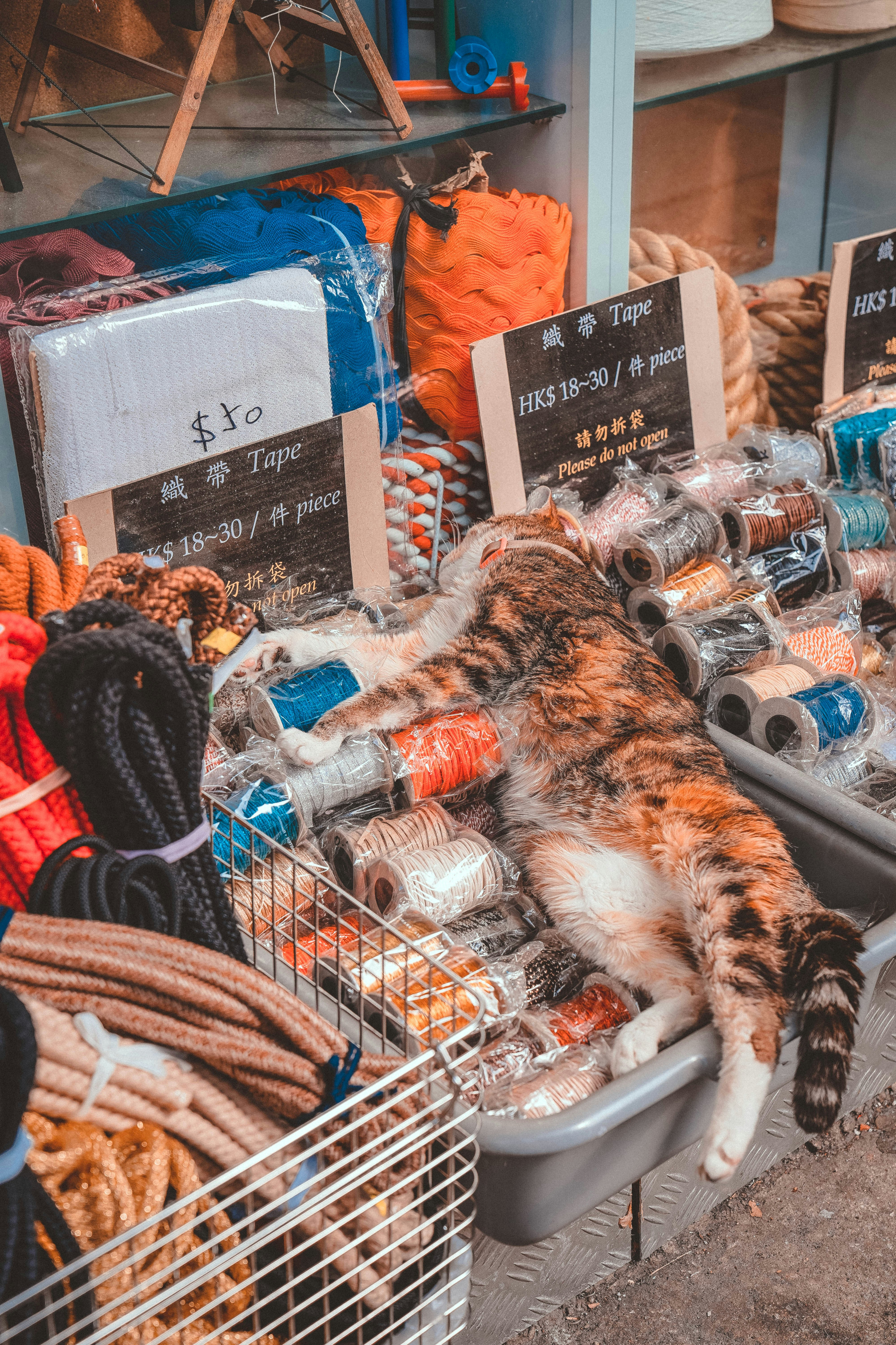 A relaxed cat sprawled across colorful rolls of tape in a craft shop, surrounded by vibrant materials and signage.