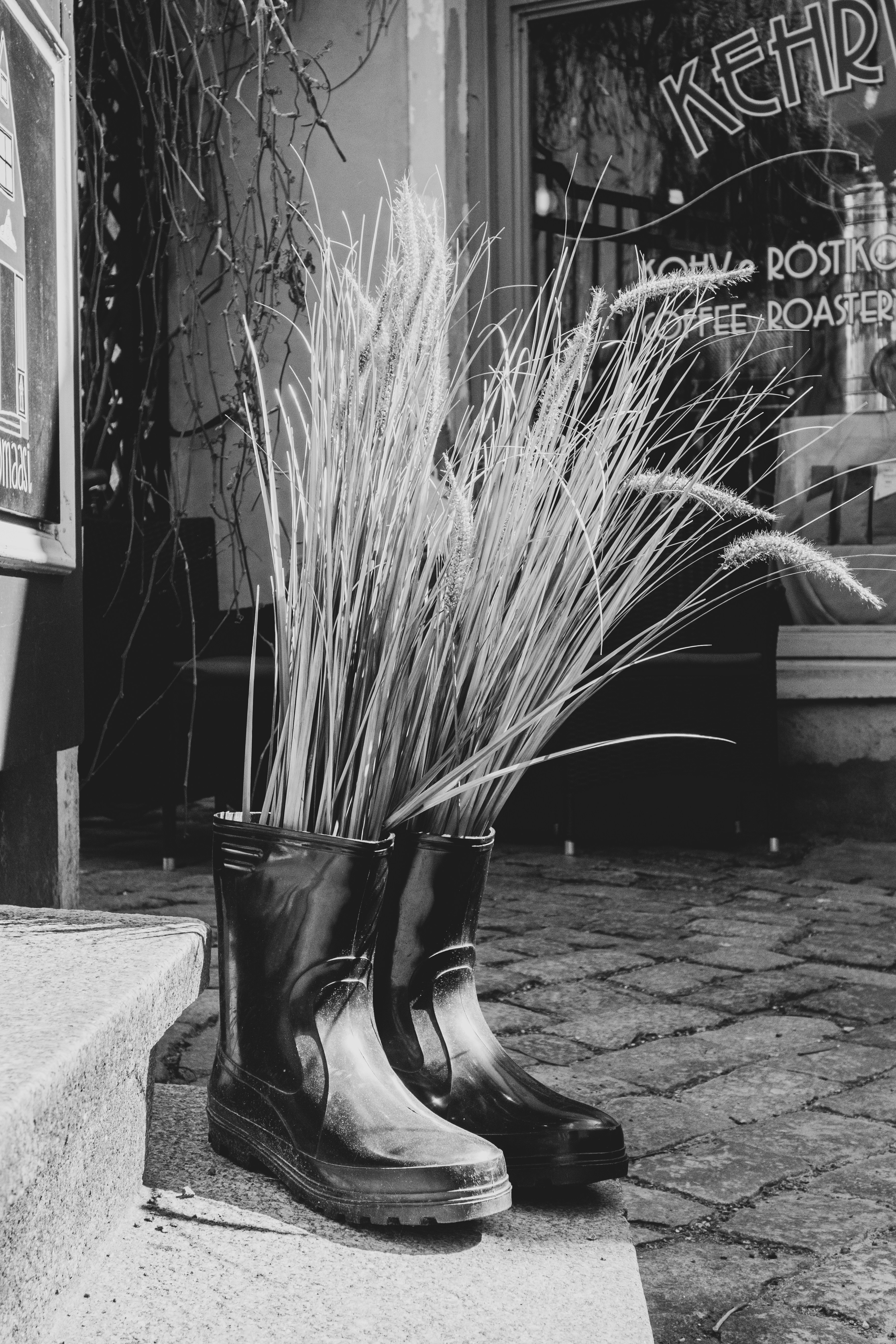 Grass in Boots: A Quiet Urban Moment on a Cobblestone Step