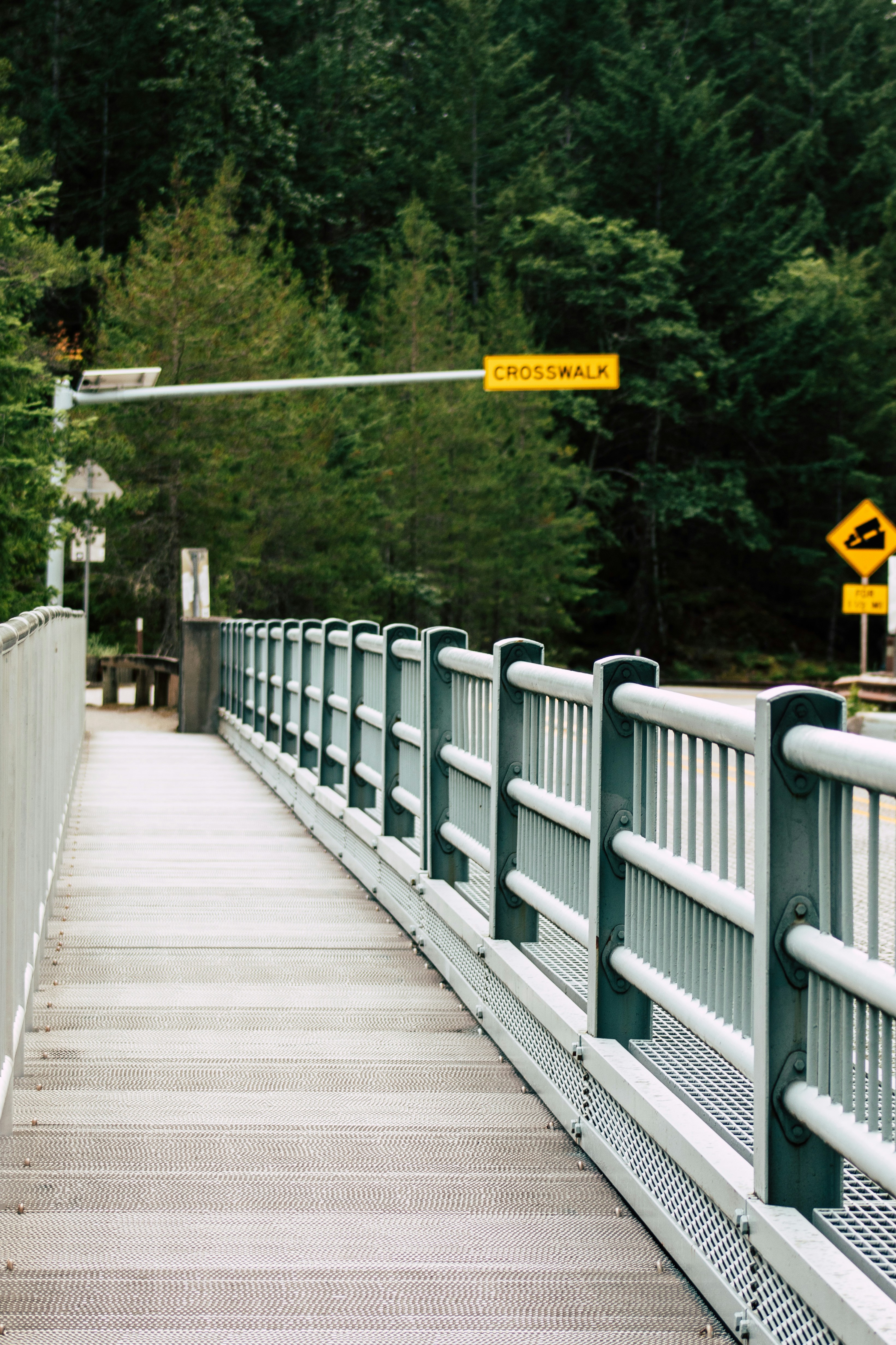 Crossing Lines: A Metal Bridge Framing the Quiet Forest