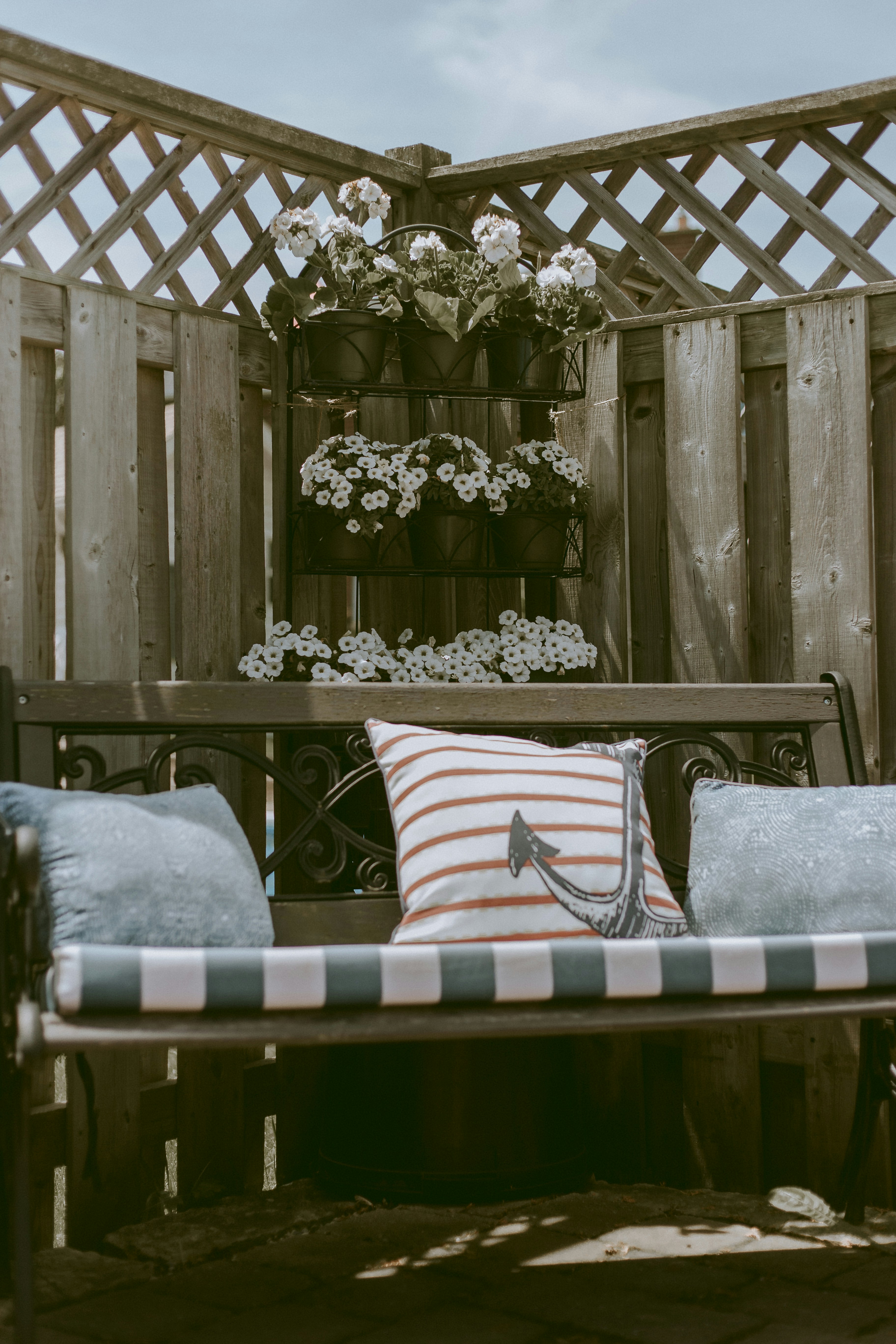 Patio Palette: Floral Display Above a Cushioned Bench