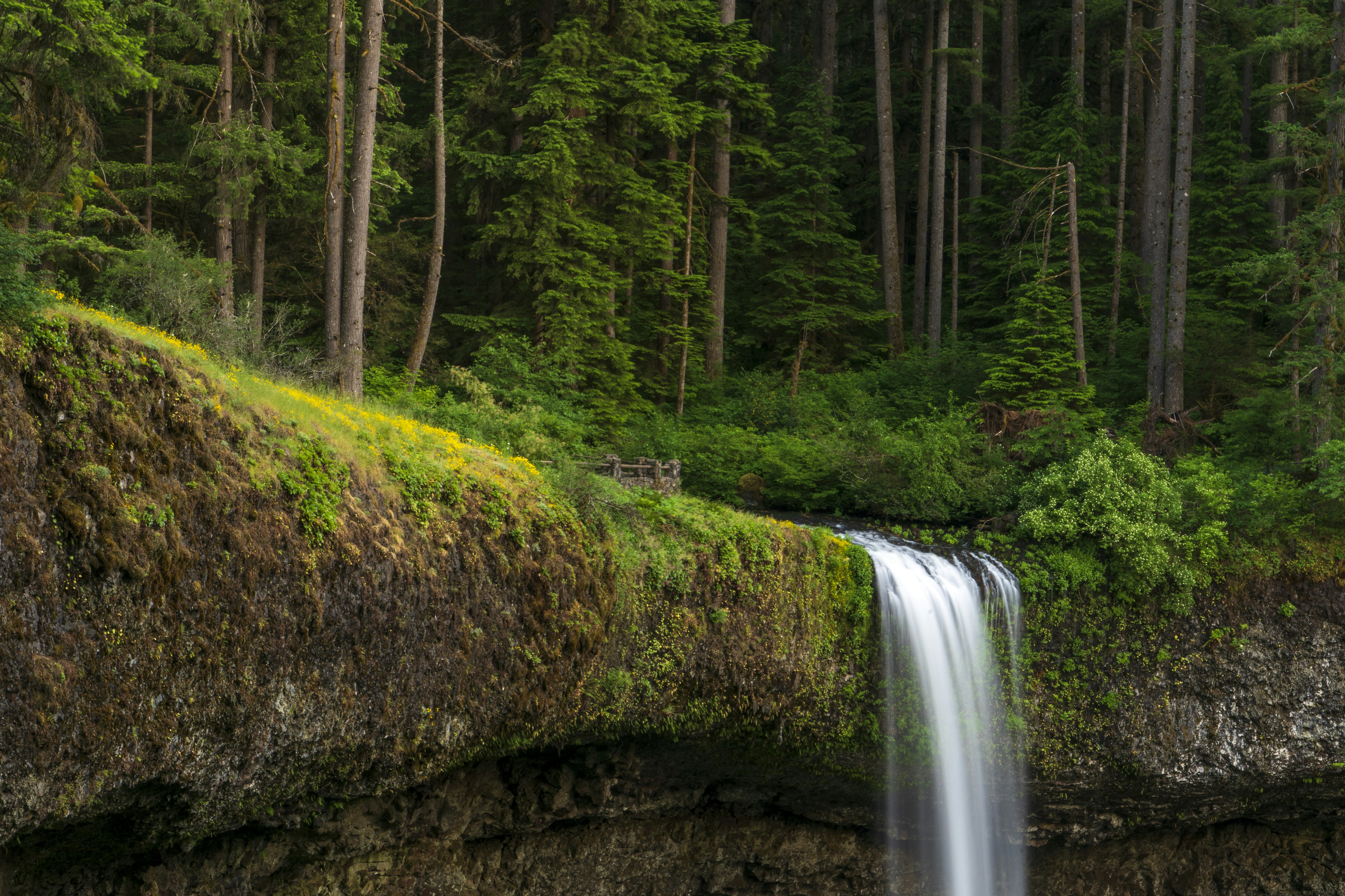 Waterfall cascading over a mossy cliff surrounded by dense green forest.