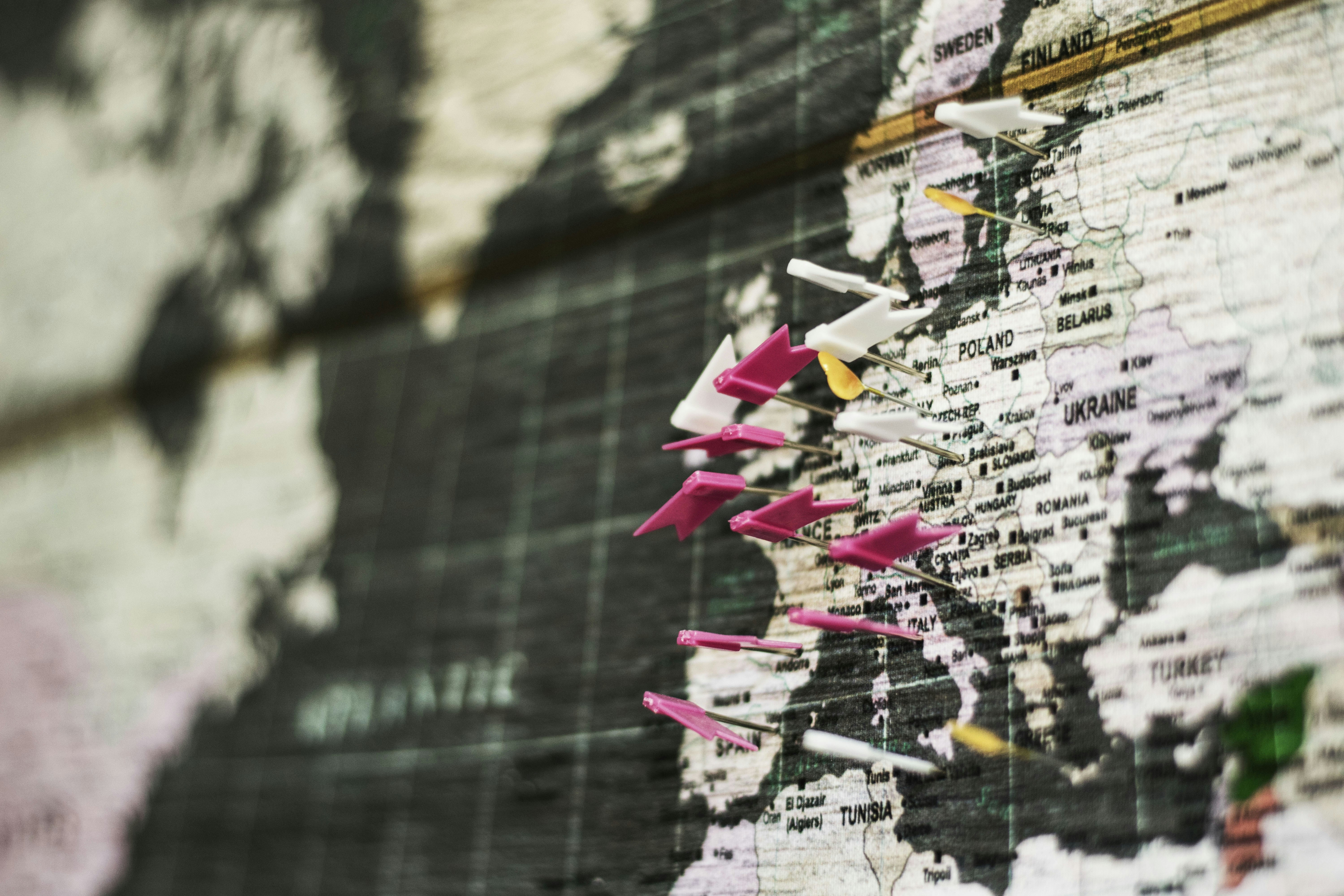 750+ Pink World Pictures | Download Free Images on Unsplash