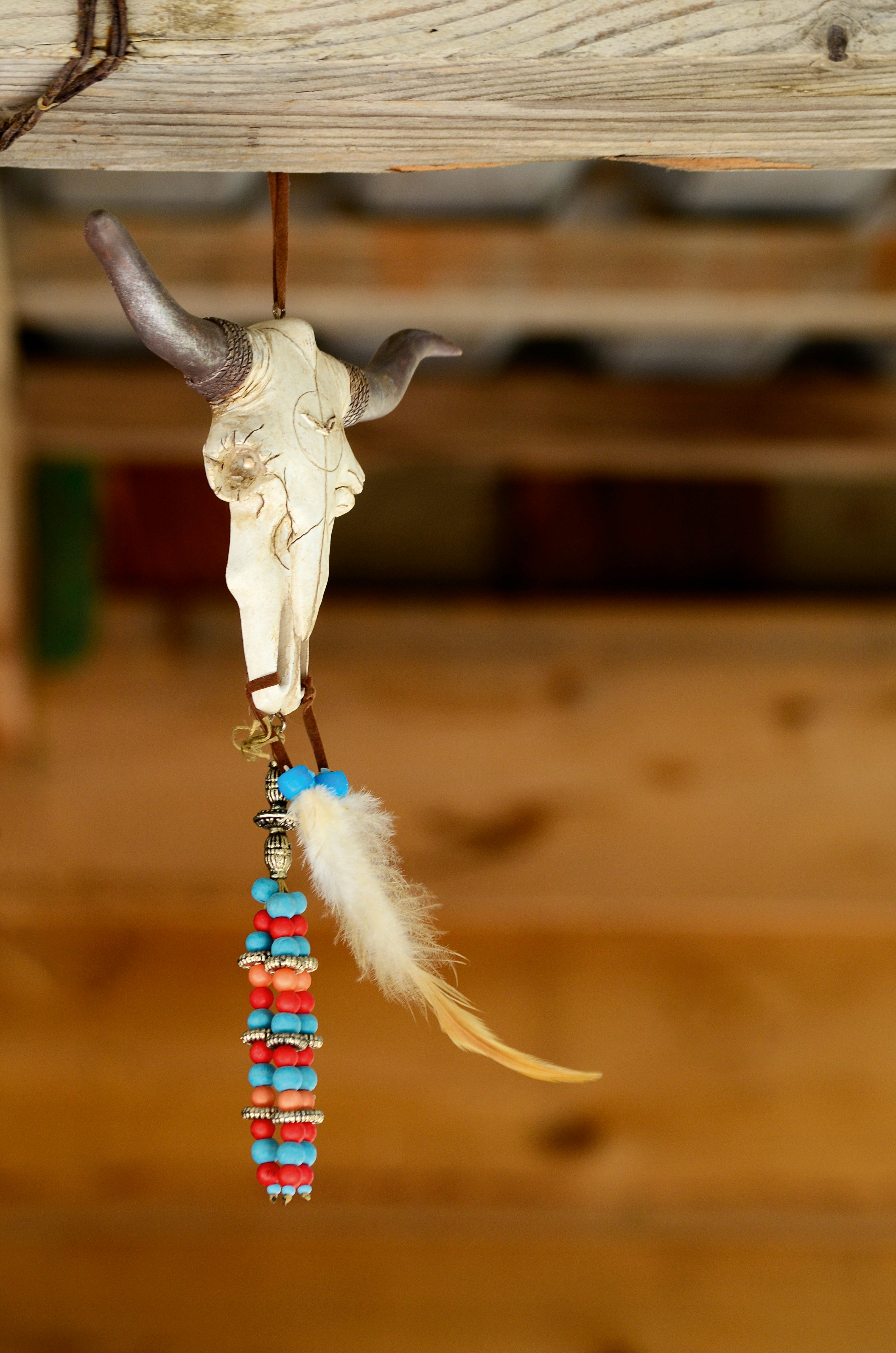 selective focus photography of animal skull with horn hanging decor