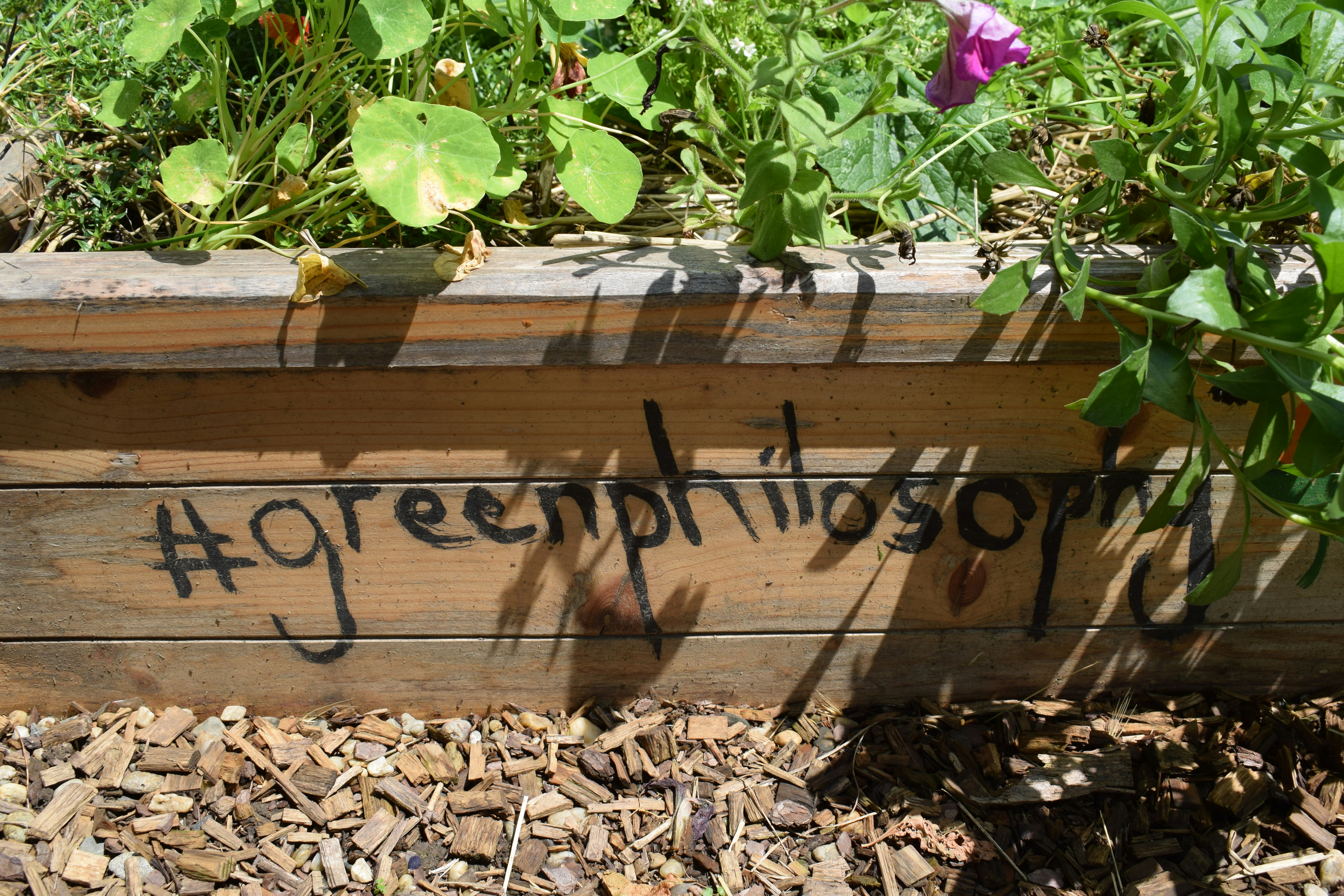 Greenlife Graffiti: A Raised Bed with Plantings and Hashtag Scribbles