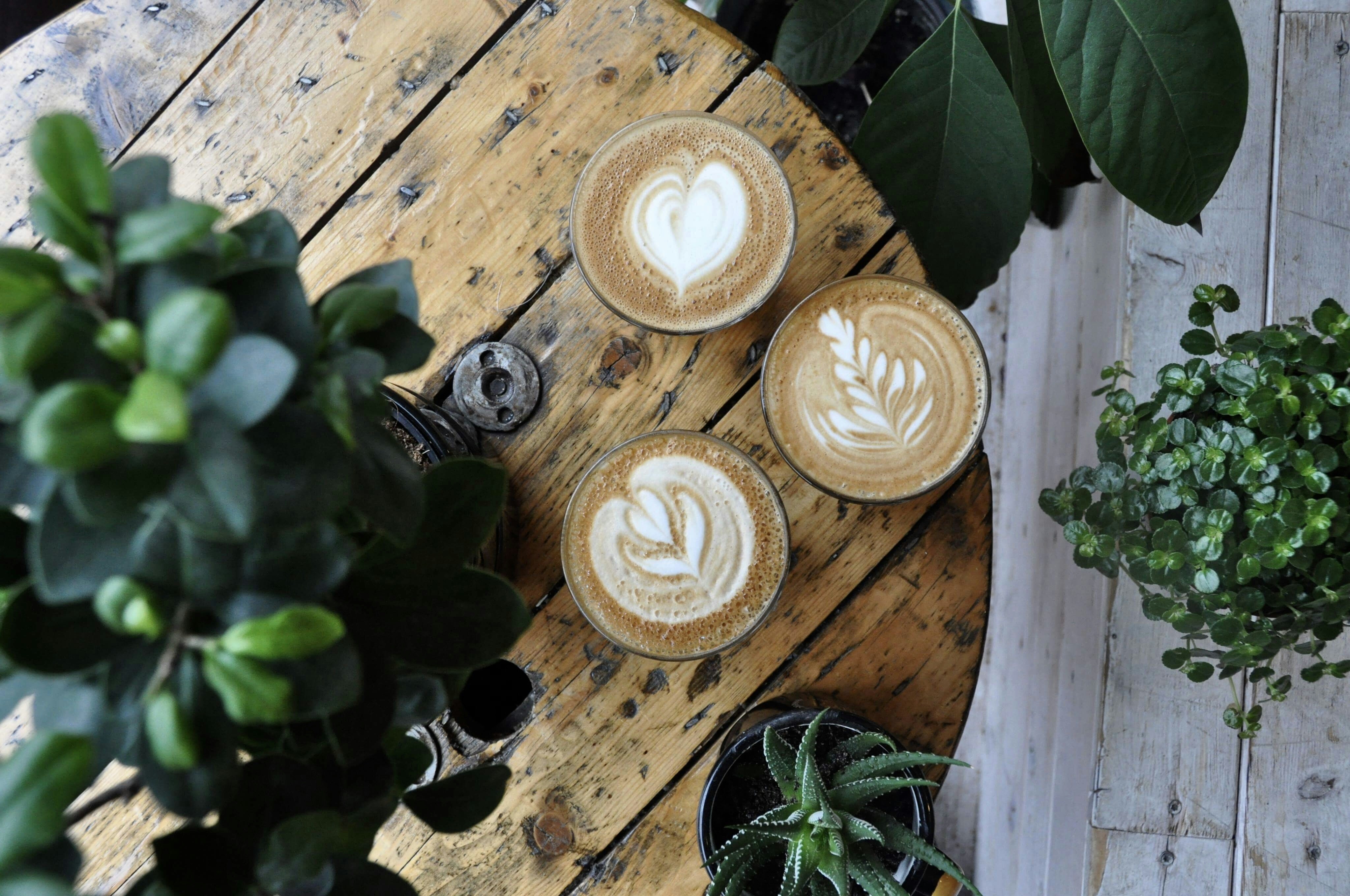 Three coffee cups on table photo – Free Coffee Image on Unsplash