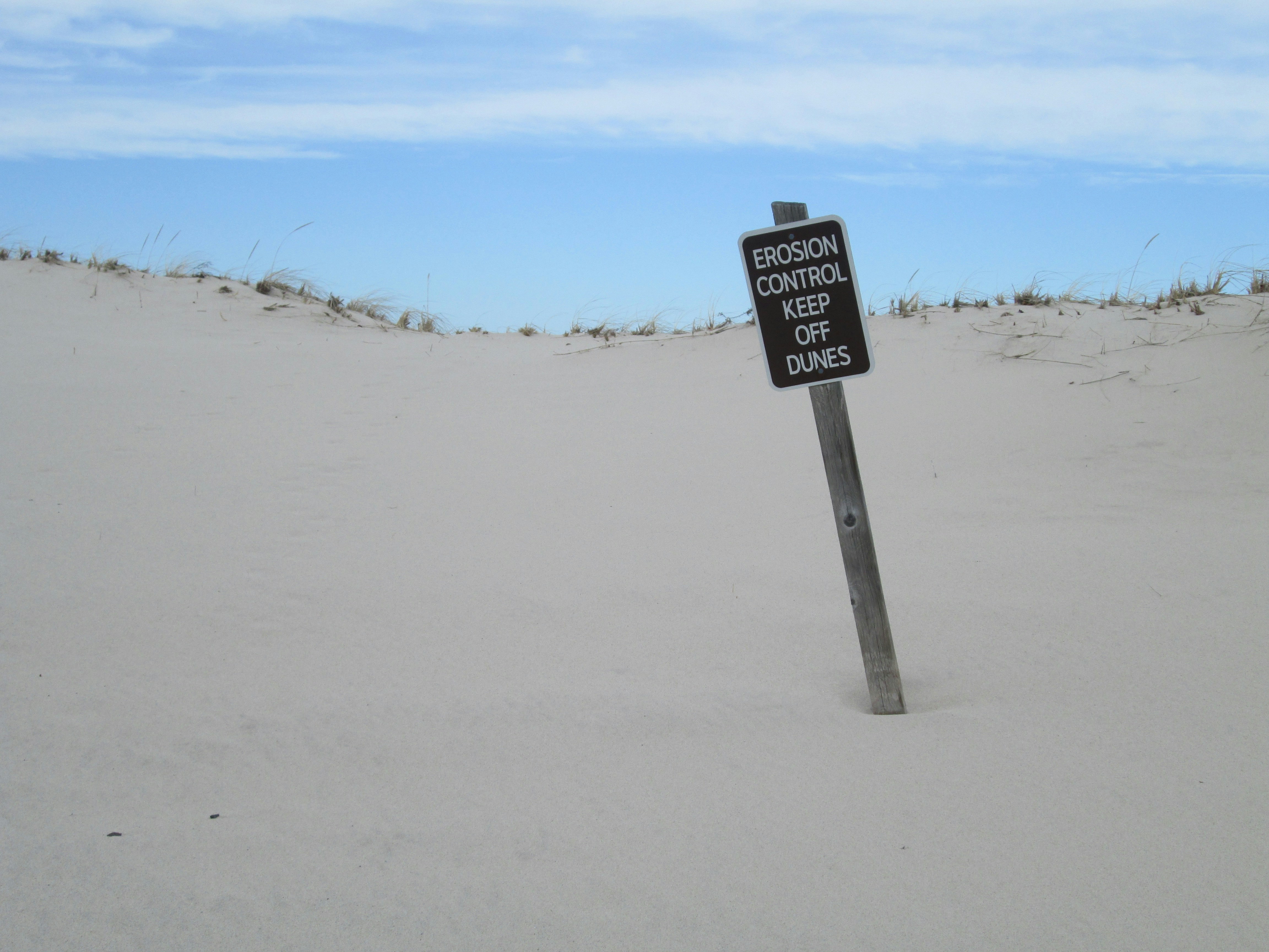 Tilted Erosion Sign Stands Guard Over Wind-Swept Dunes