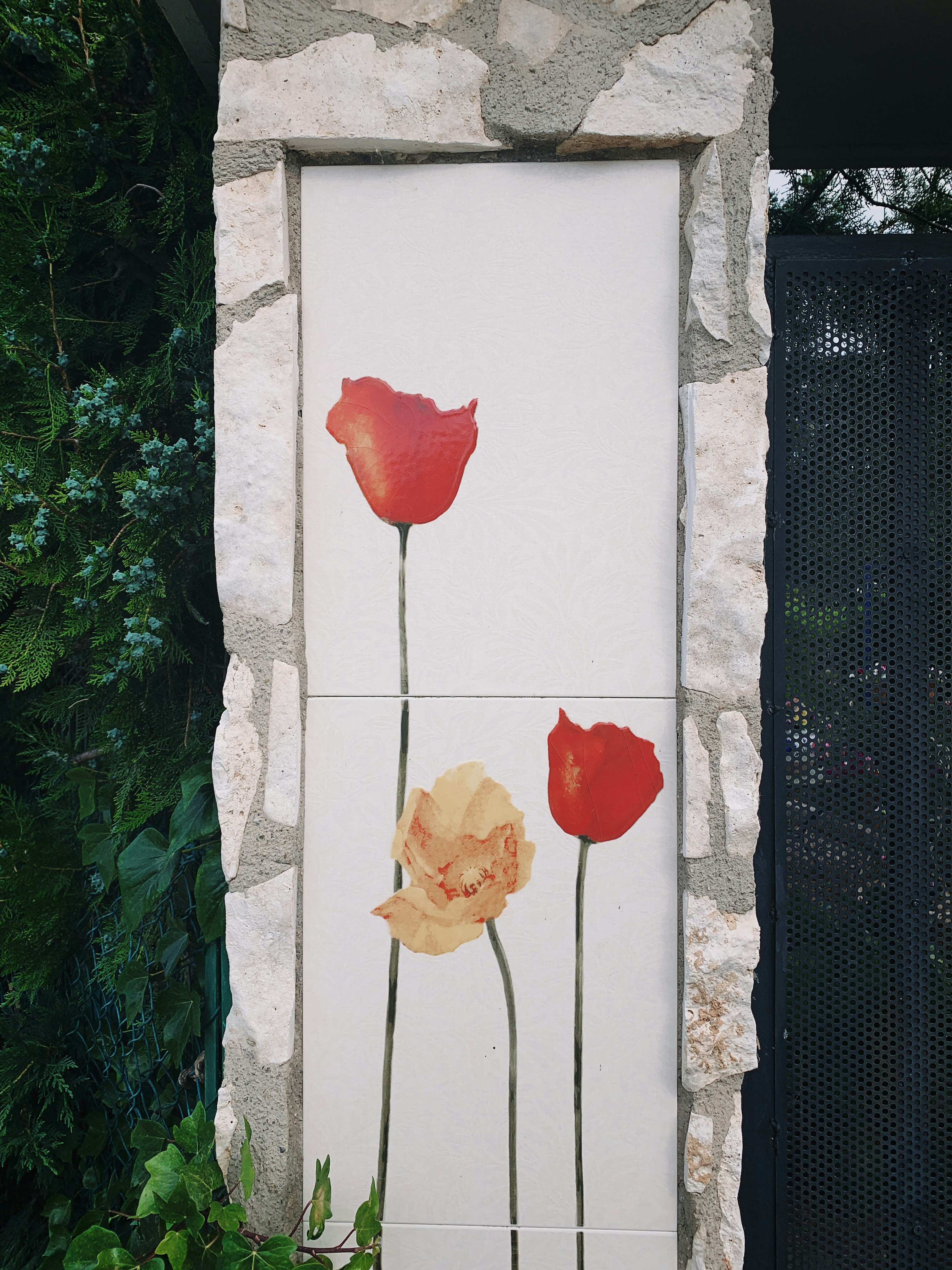 Poppy flower painted tiles on wall photo – Free Leaf Image on Unsplash