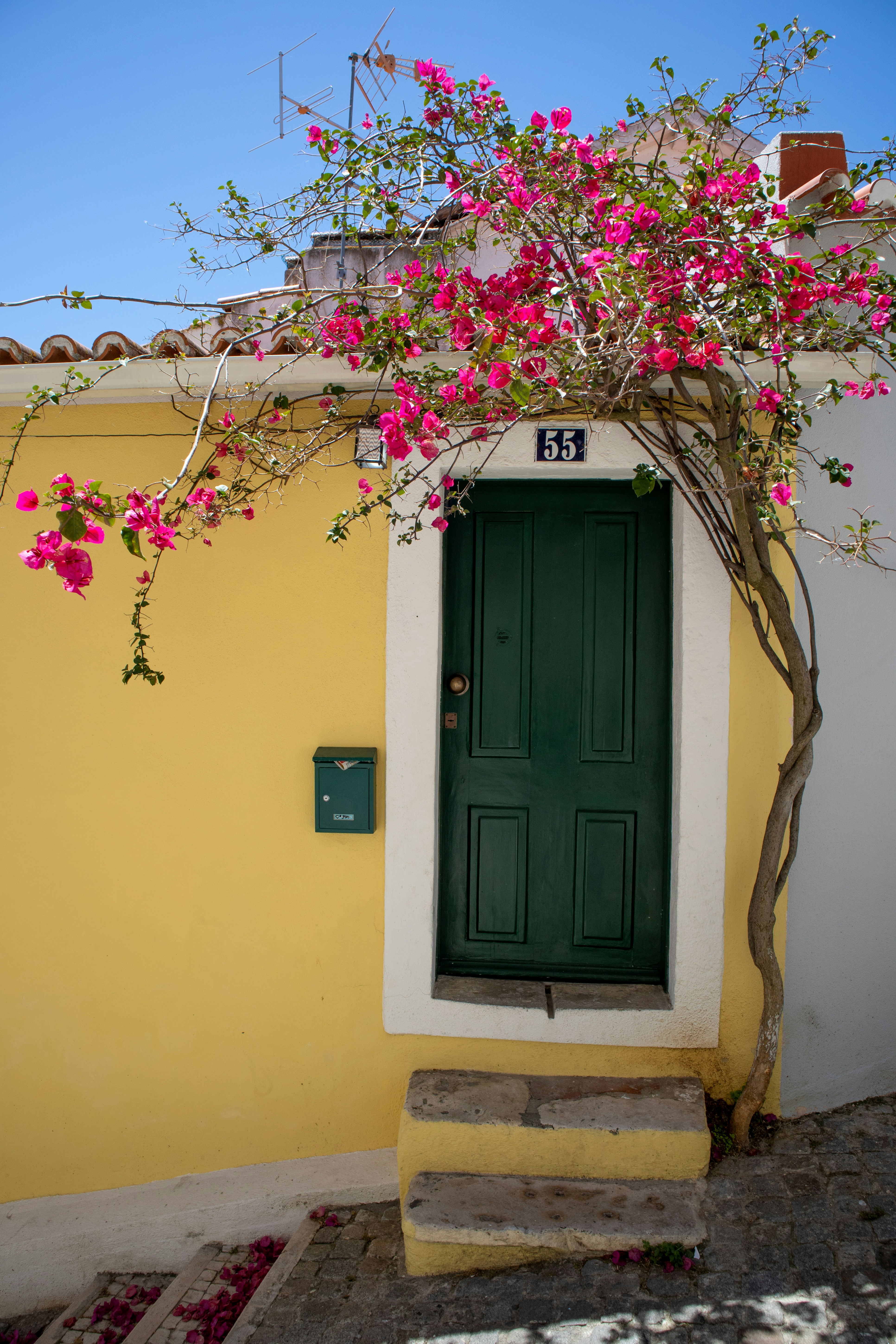 Bougainvillea Crowned Green Door on a Sunlit Yellow Facade