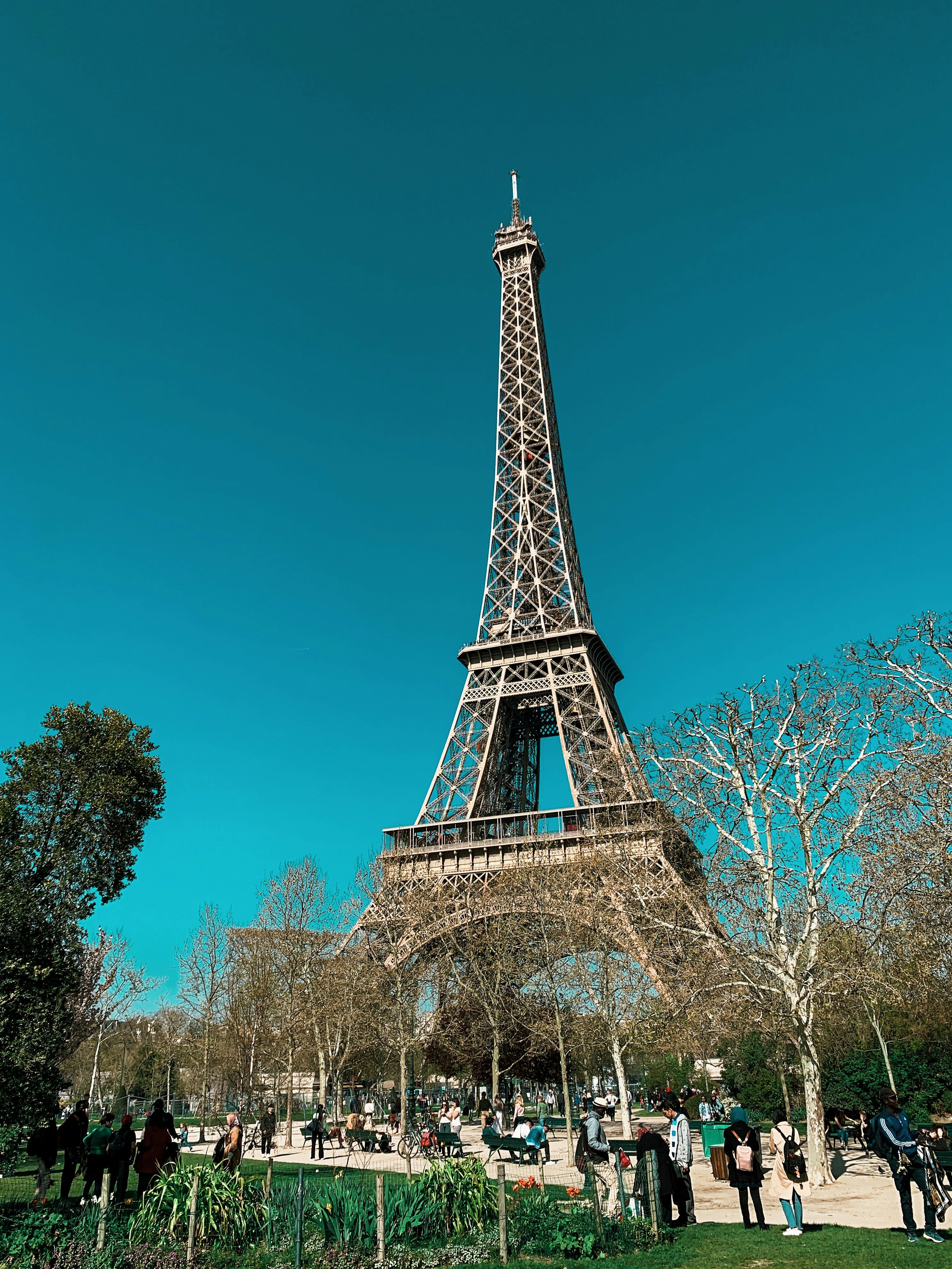 Iron Lace Against a Cerulean Paris Sky