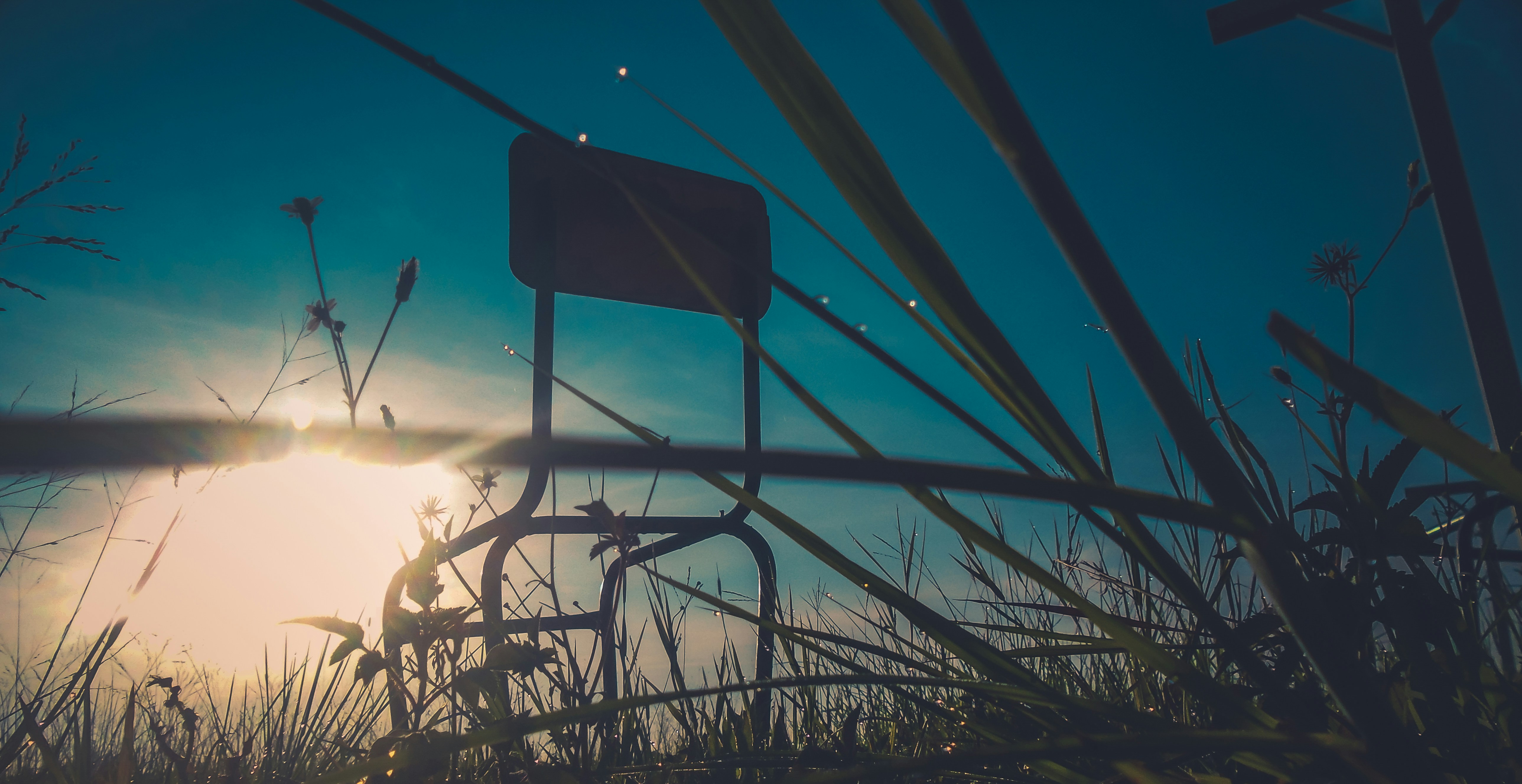 Dusk Bench Silhouette: Curved Metal, Grass, and a Blue Hour Sky