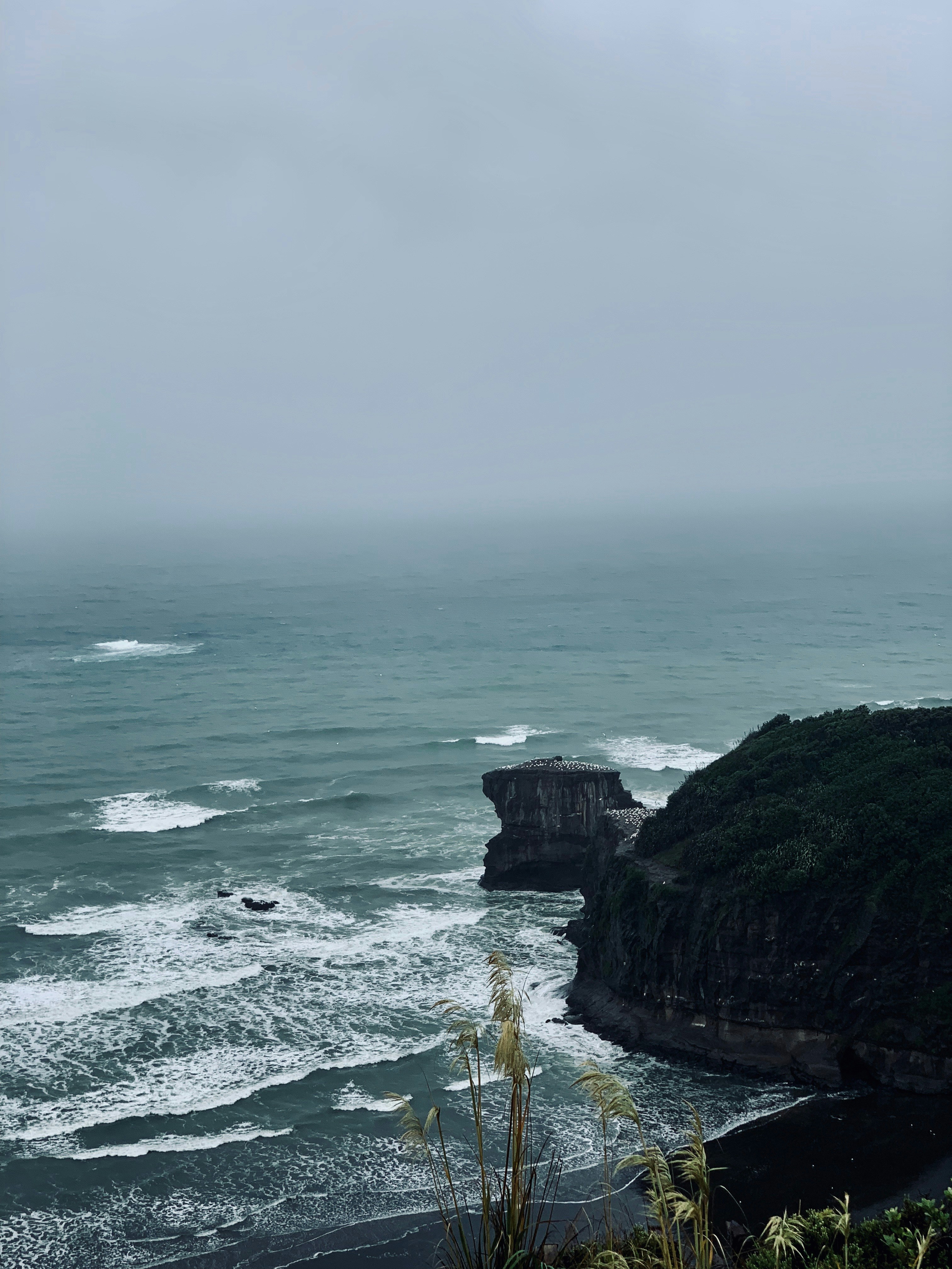 Black rock cliff in beach photo – Free New zealand Image on Unsplash