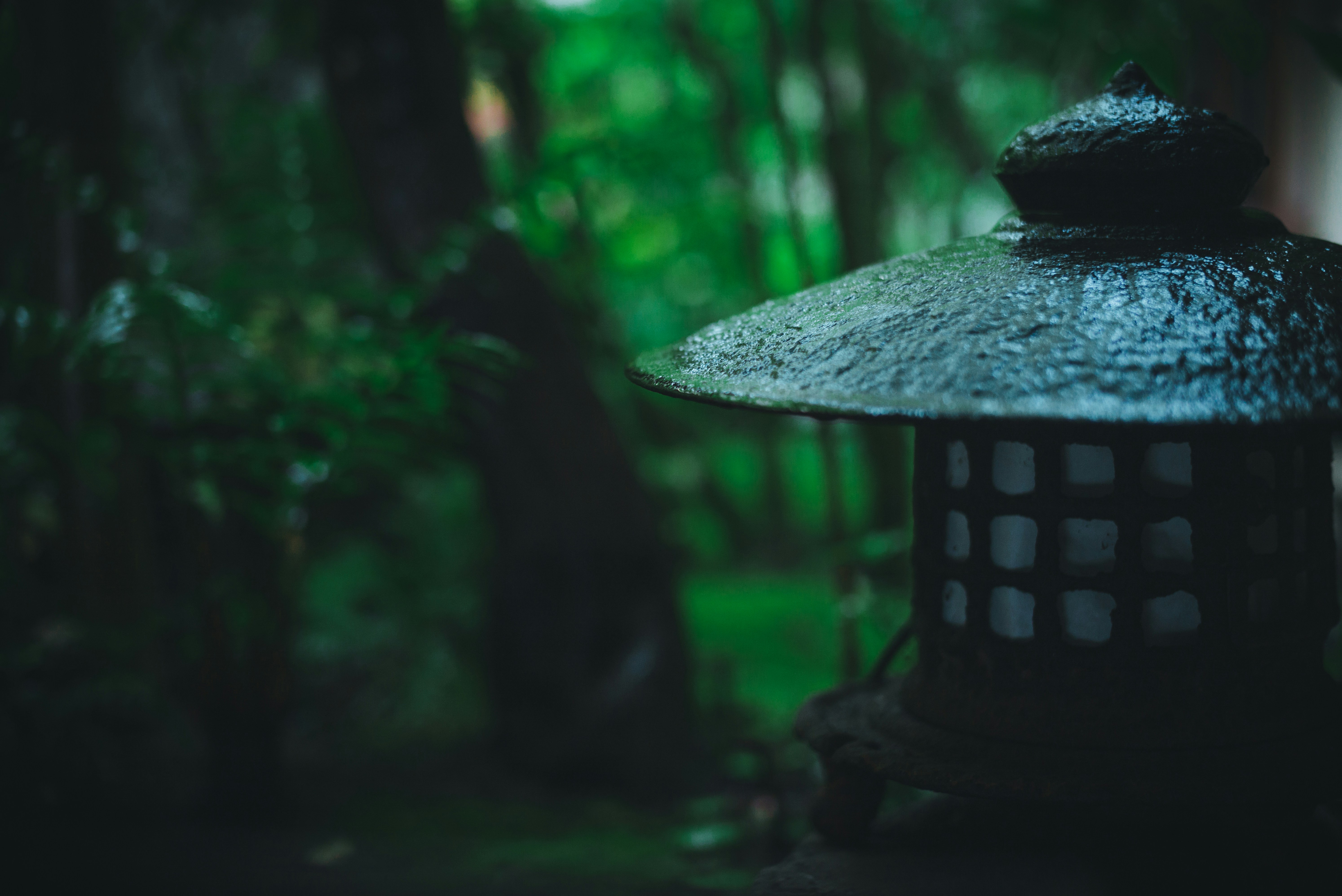 Rain-Drenched Lantern in a Quiet Verdant Glade