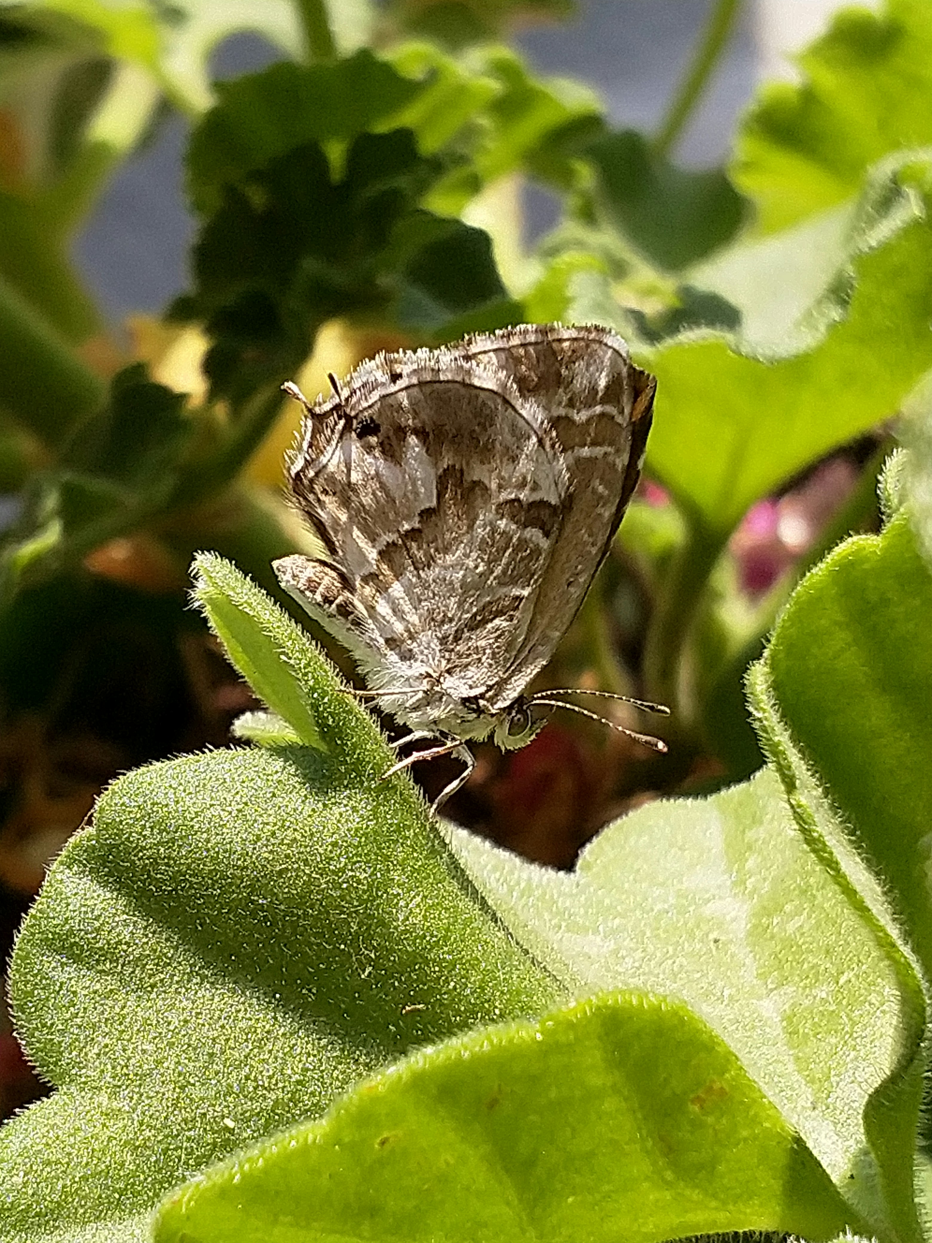 Daniela Bi (@danielabi) | Comunidad de fotos de Unsplash