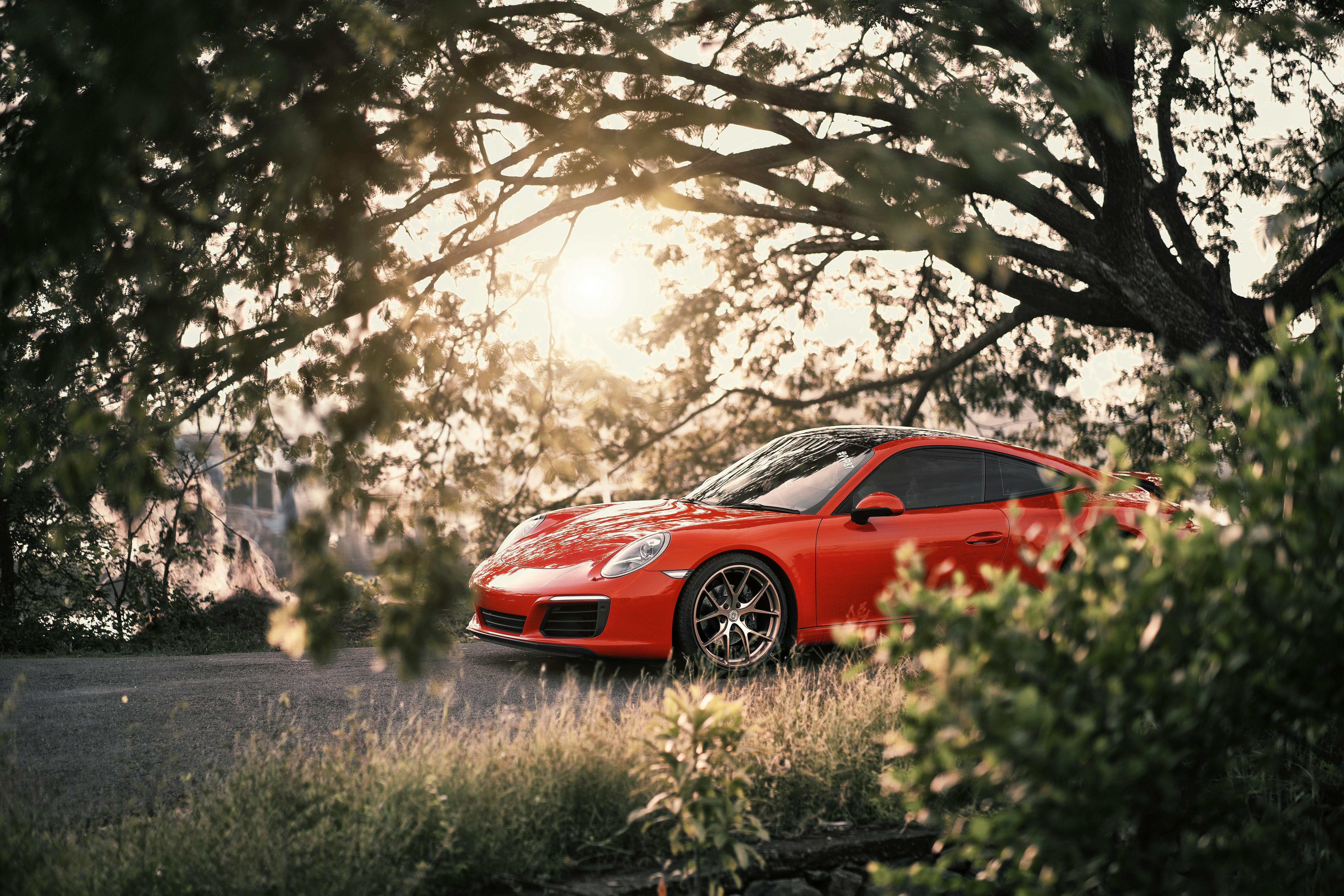 Red car beside tree photo – Free India Image on Unsplash