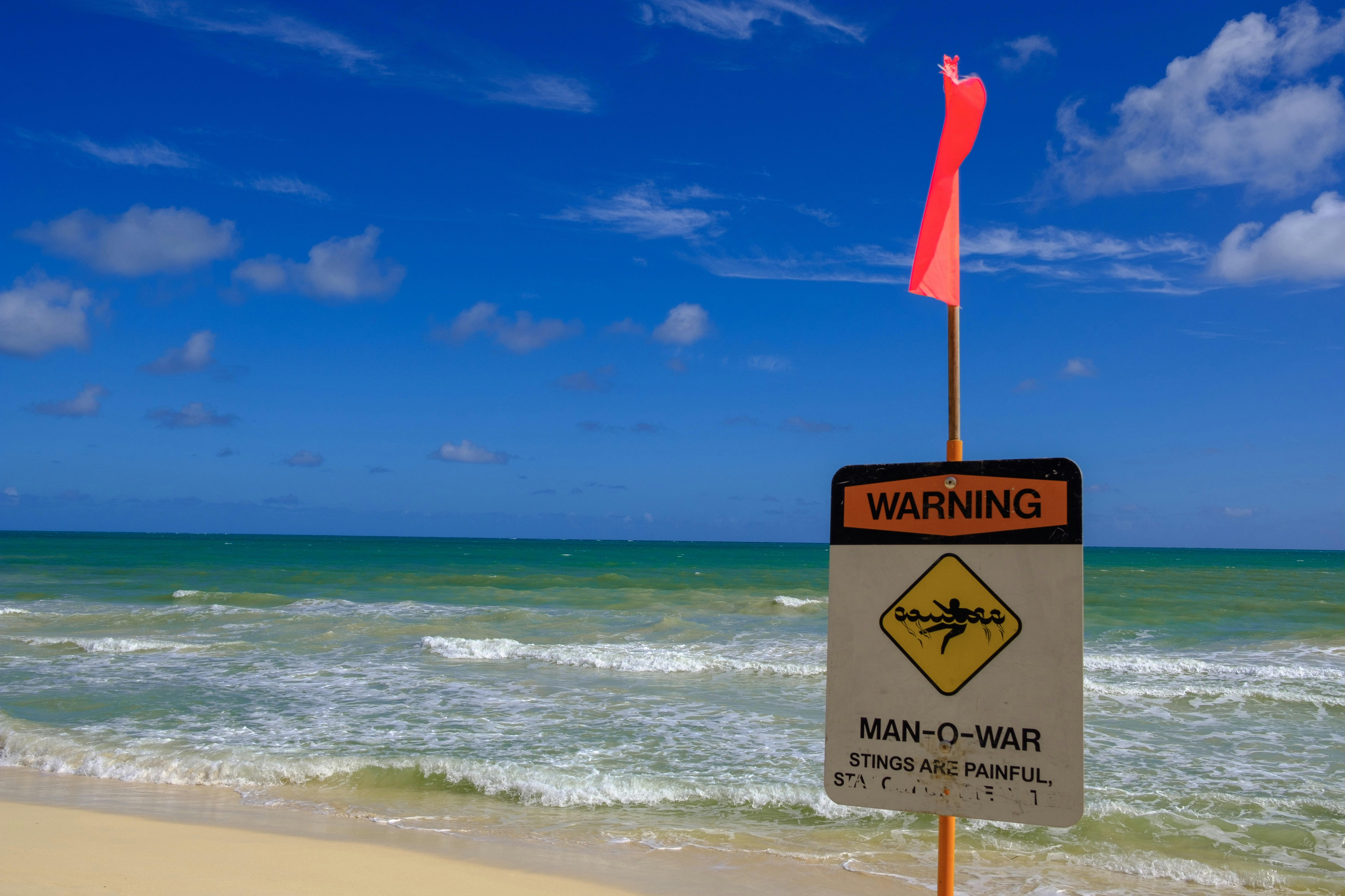 Warning at the Shore: A Vibrant Beach Warning Sign Against a Turquoise Sea