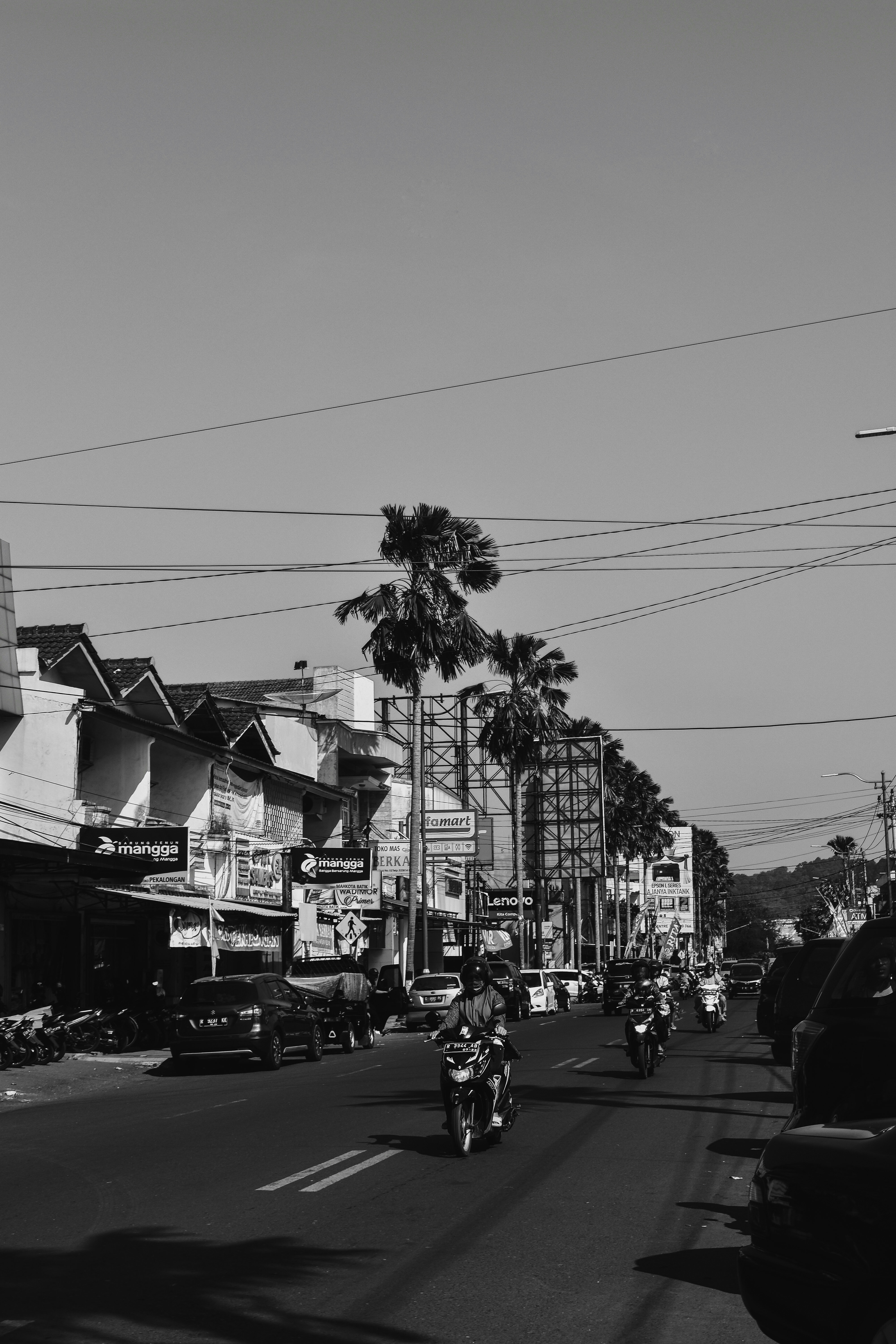Urban Pulse in Monochrome: Motorbikes Weave Through a Palm-Shaded Street