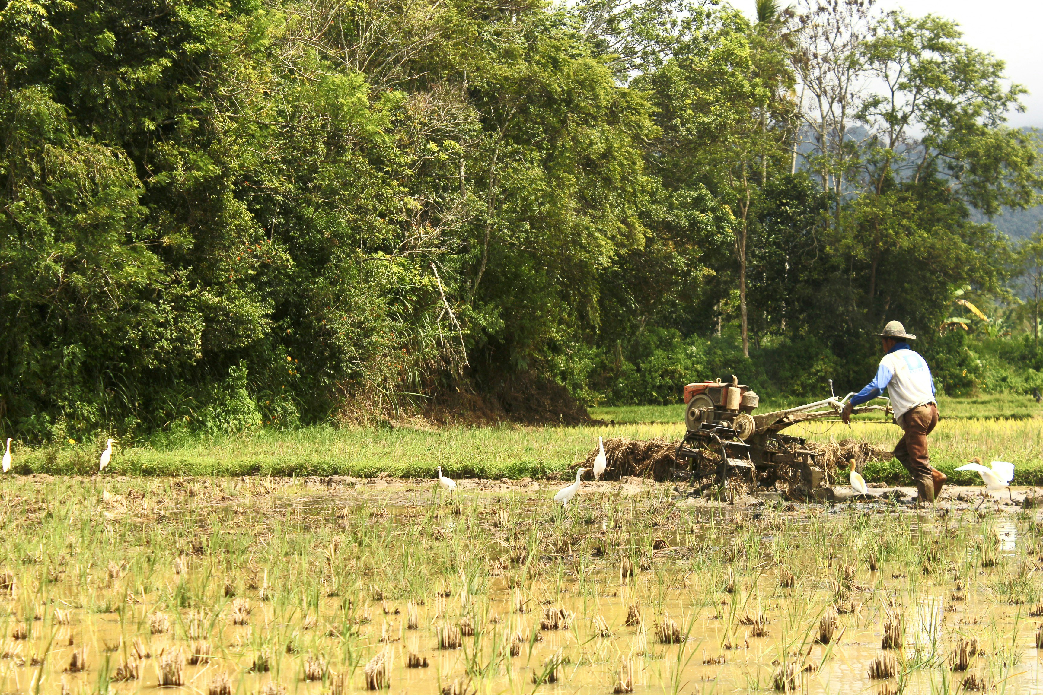 man at middle of field