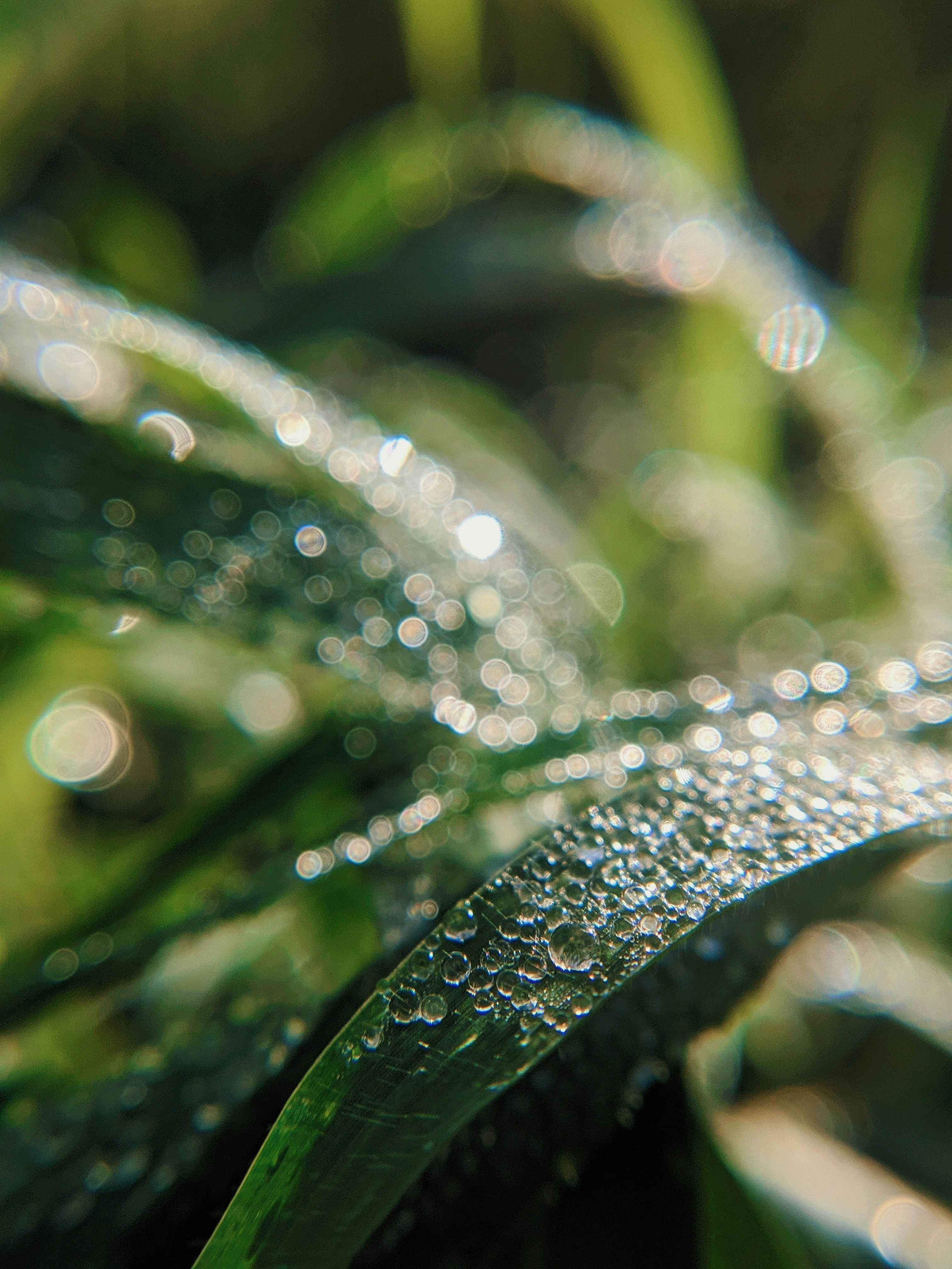 Sample photo from Google Pixel 2