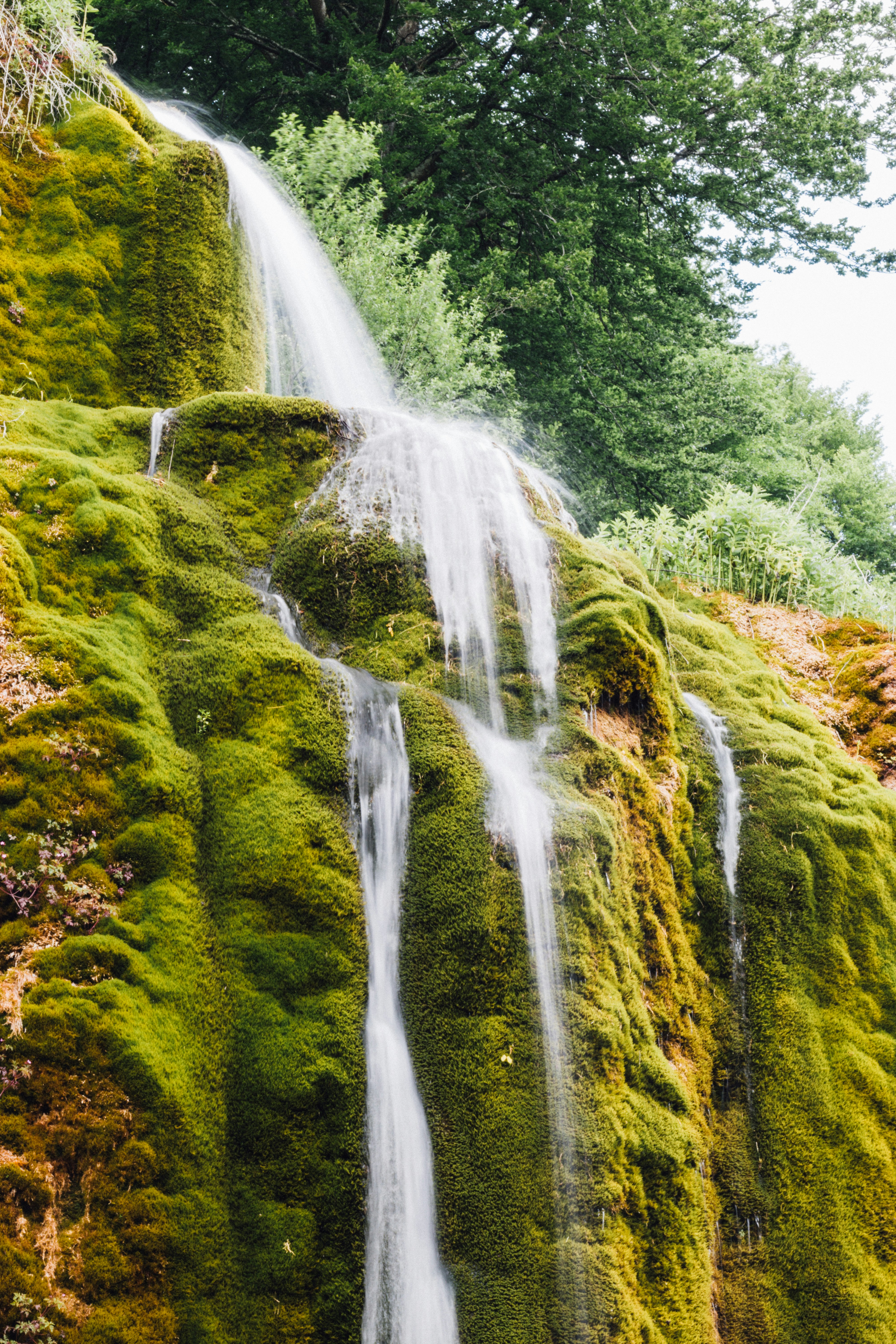 Water cascading down a moss-covered cliff surrounded by lush greenery. The serene environment highlights the beauty of nature's textures.