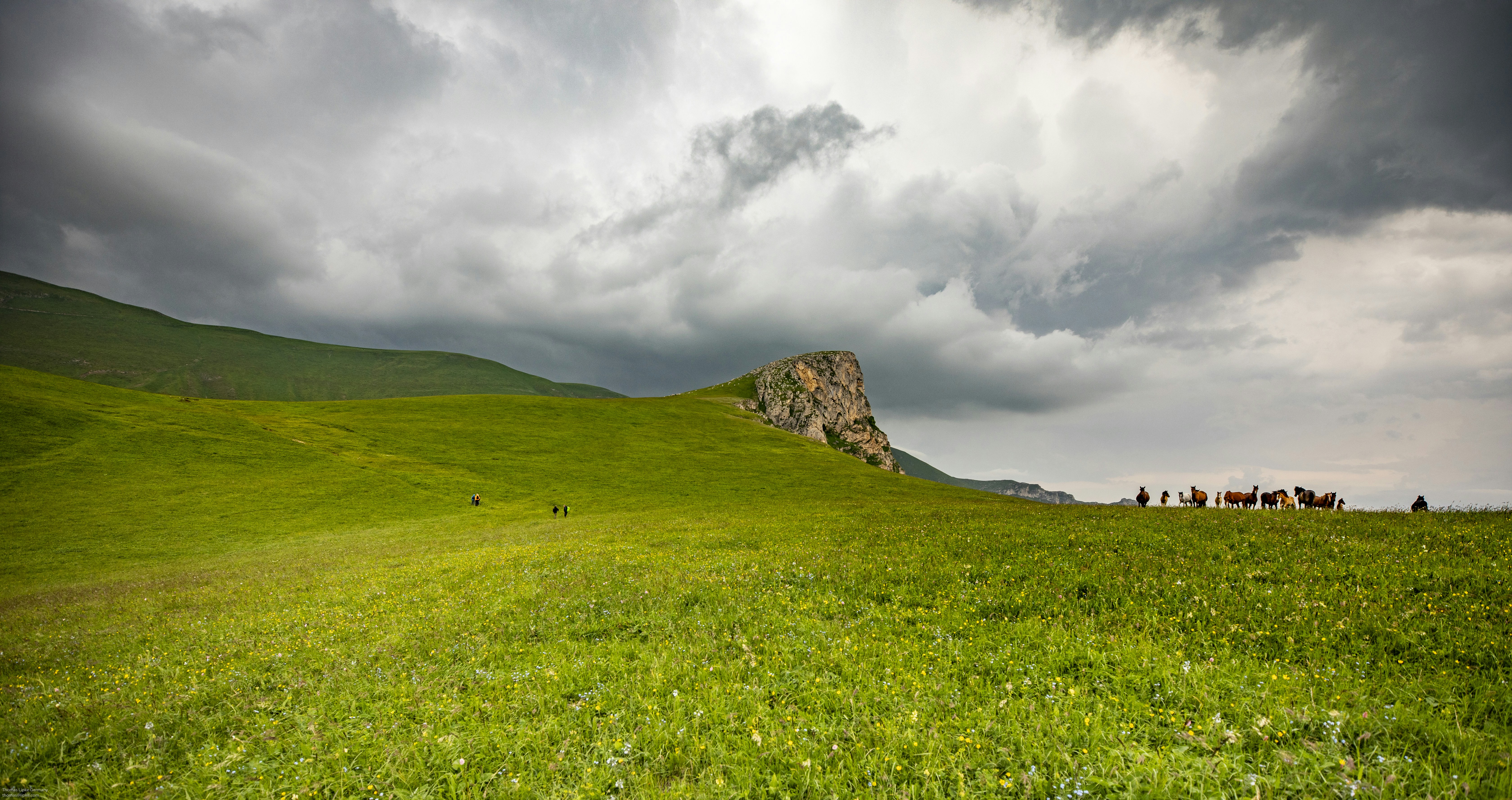 Thomas Lipke (@t_lipke) | Unsplash Photo Community