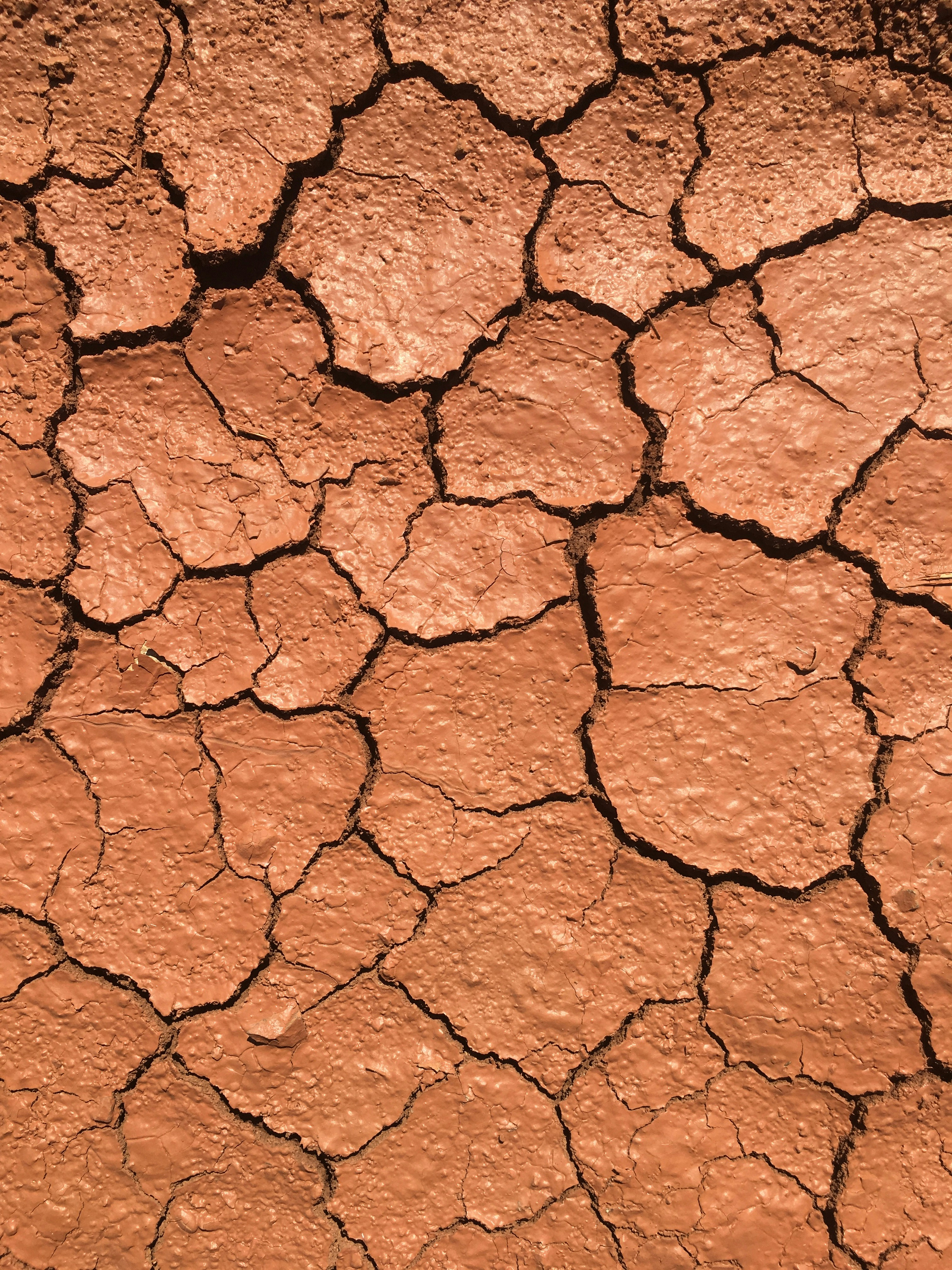 Sol brun photo – Image gratuite de Brun sur Unsplash