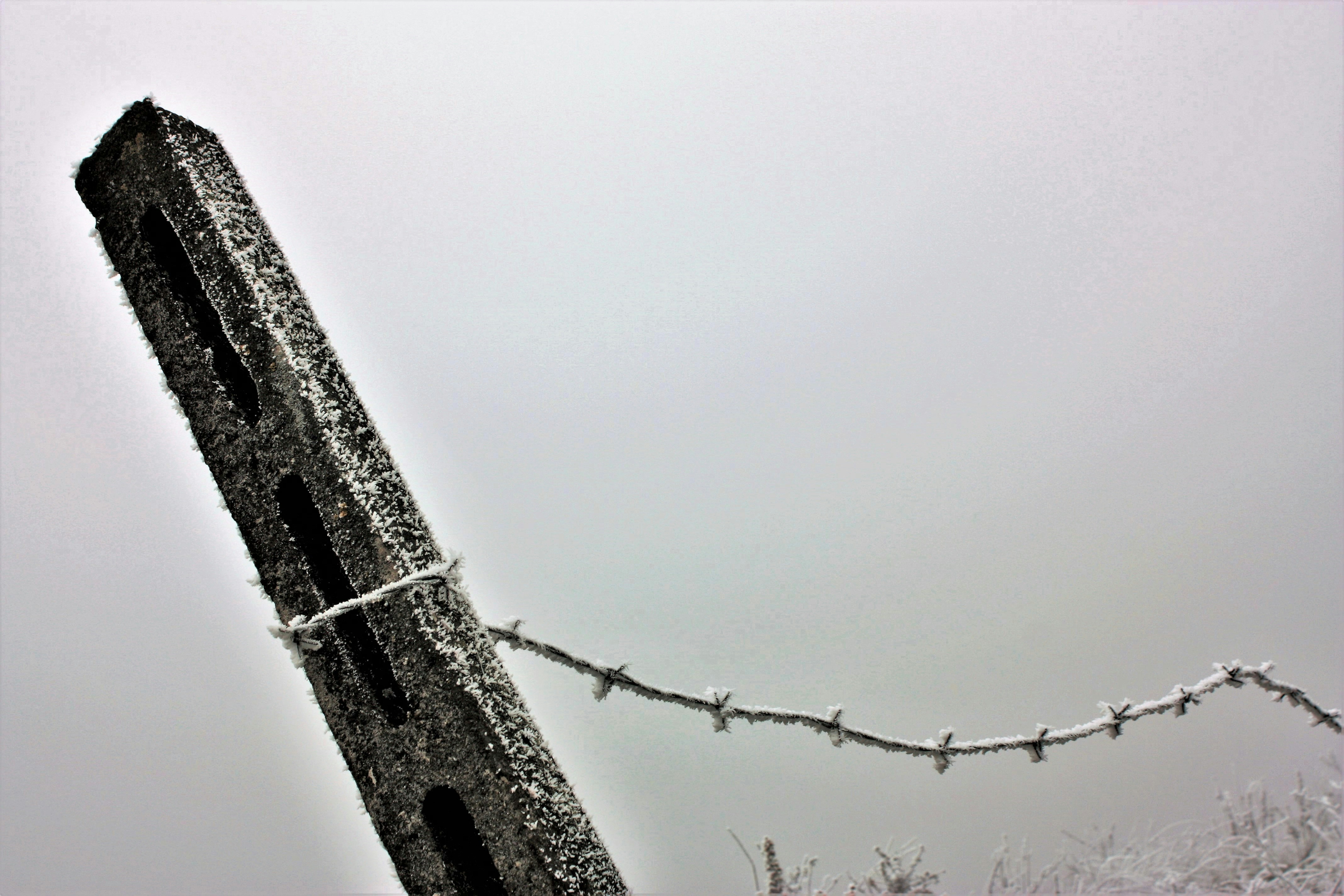 Tilted Sentinel: Frost-Kissed Post Framed by Barbed Wire