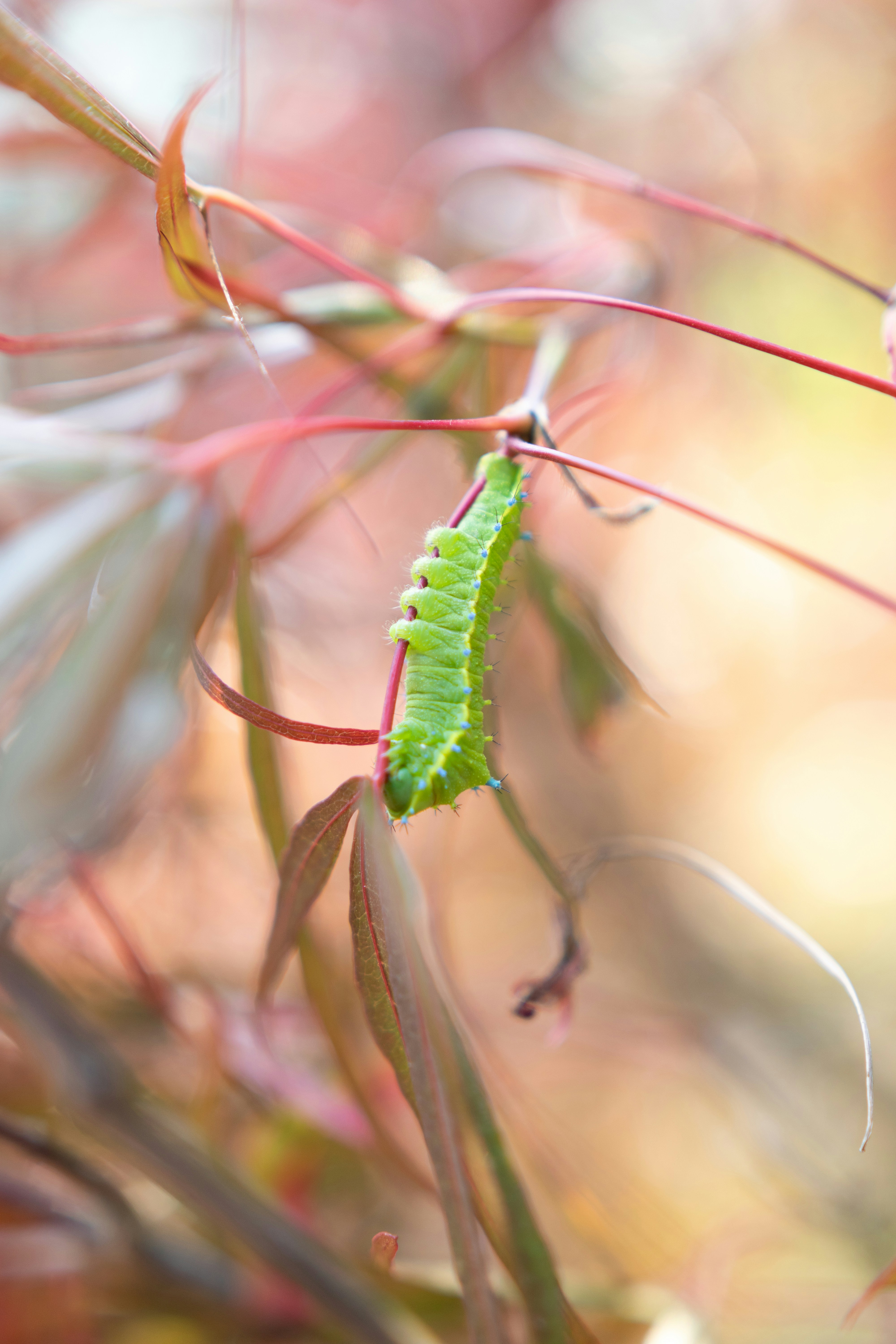Alex Rhee (@alexdhrhee) | Unsplash Photo Community