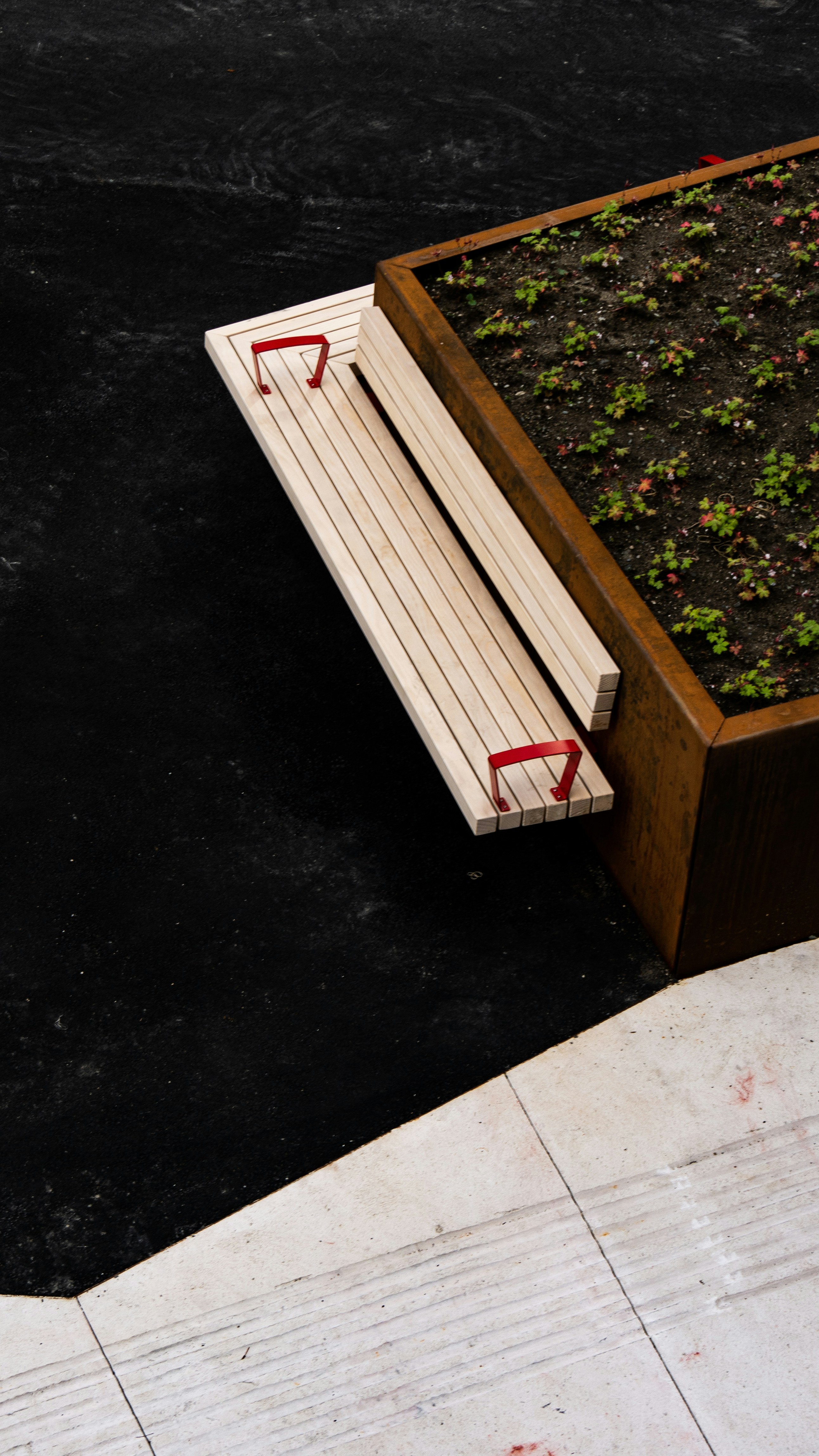 box planter with green leafed plant sprouting