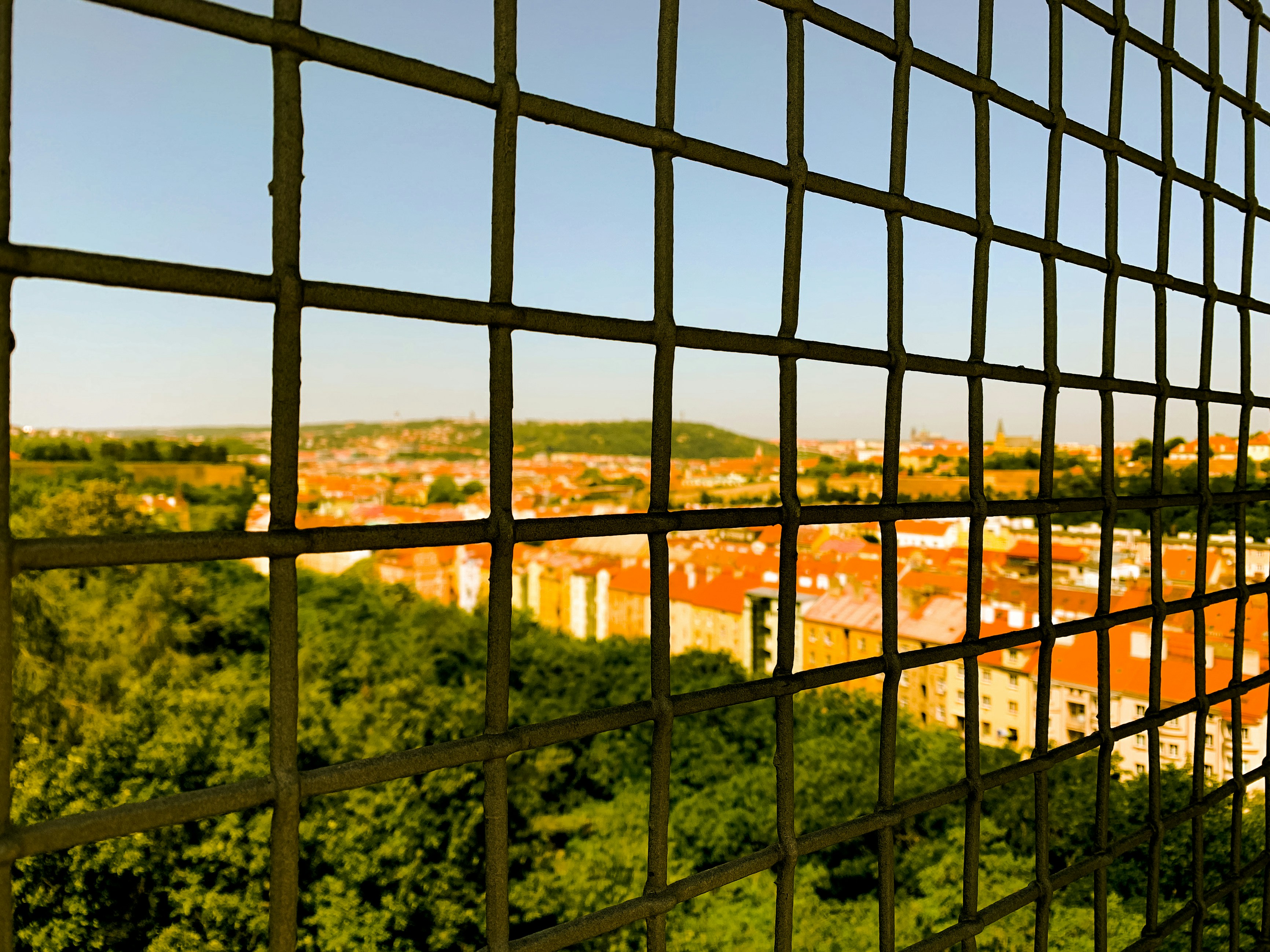 Grid-Framed Horizon: An Elevated Look at a Sunlit European City