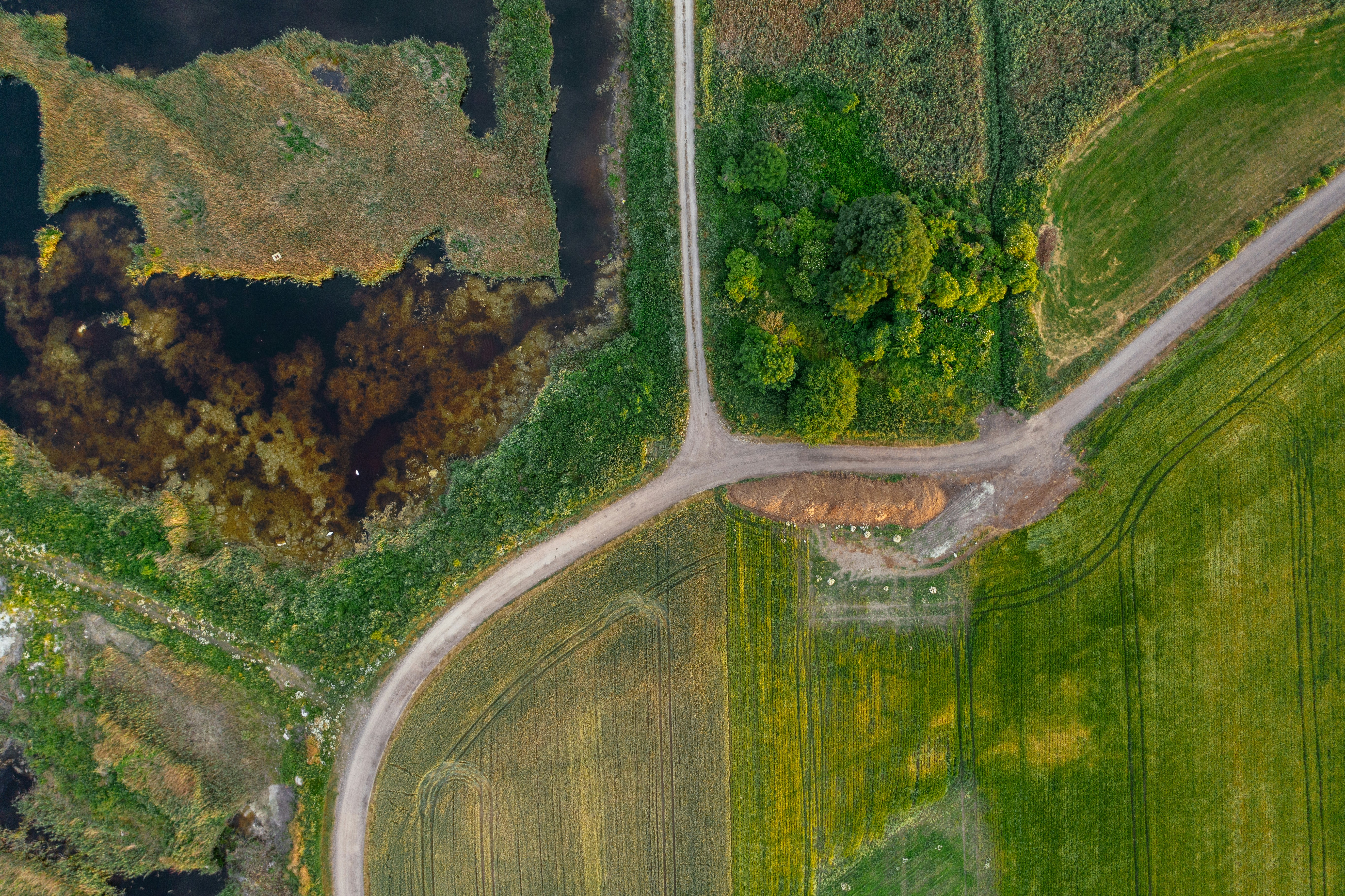Aerial view showcasing the convergence of a winding road and vibrant fields adjacent to a serene water body.