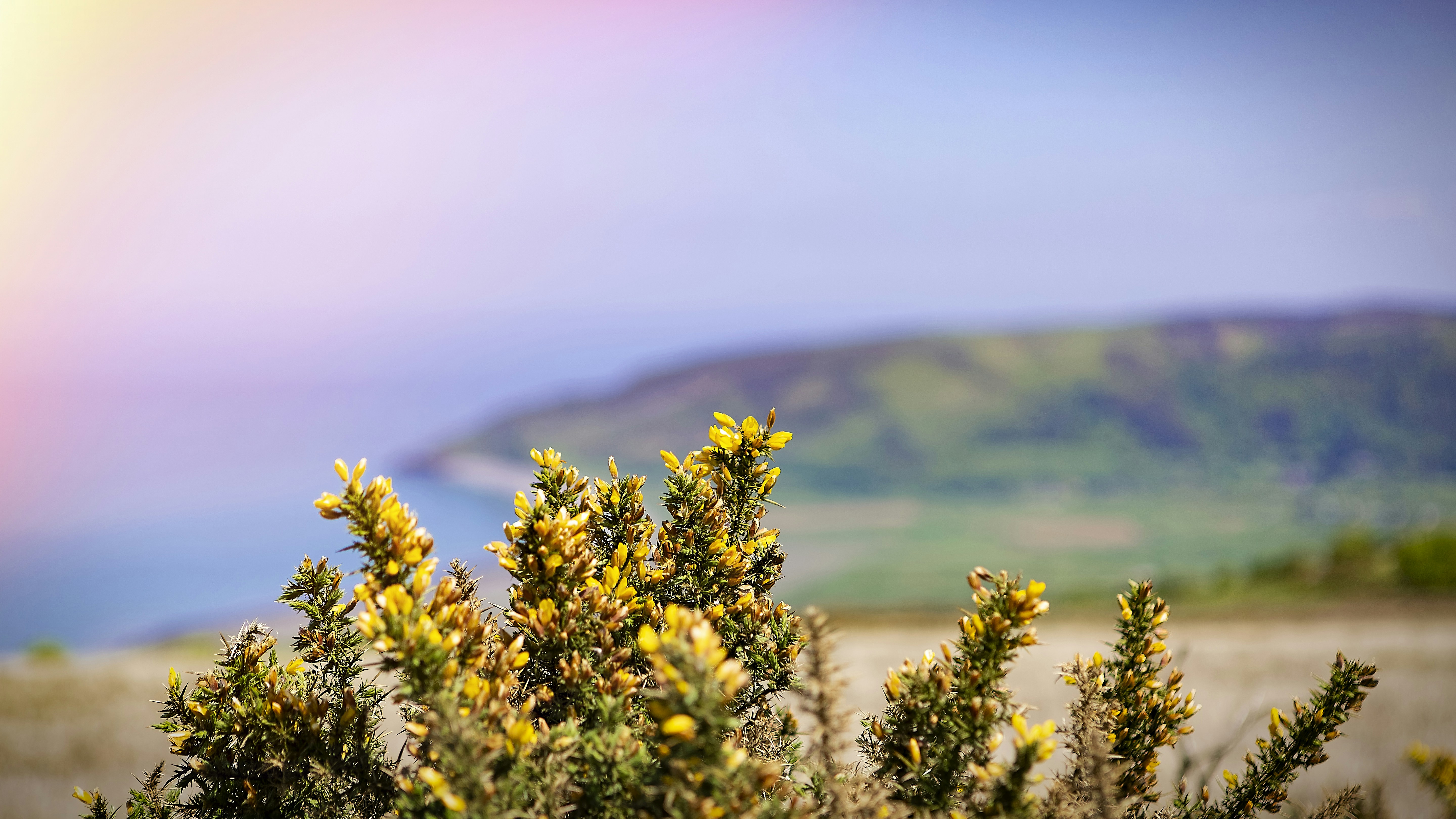Définition de grossier | Dictionnaire français