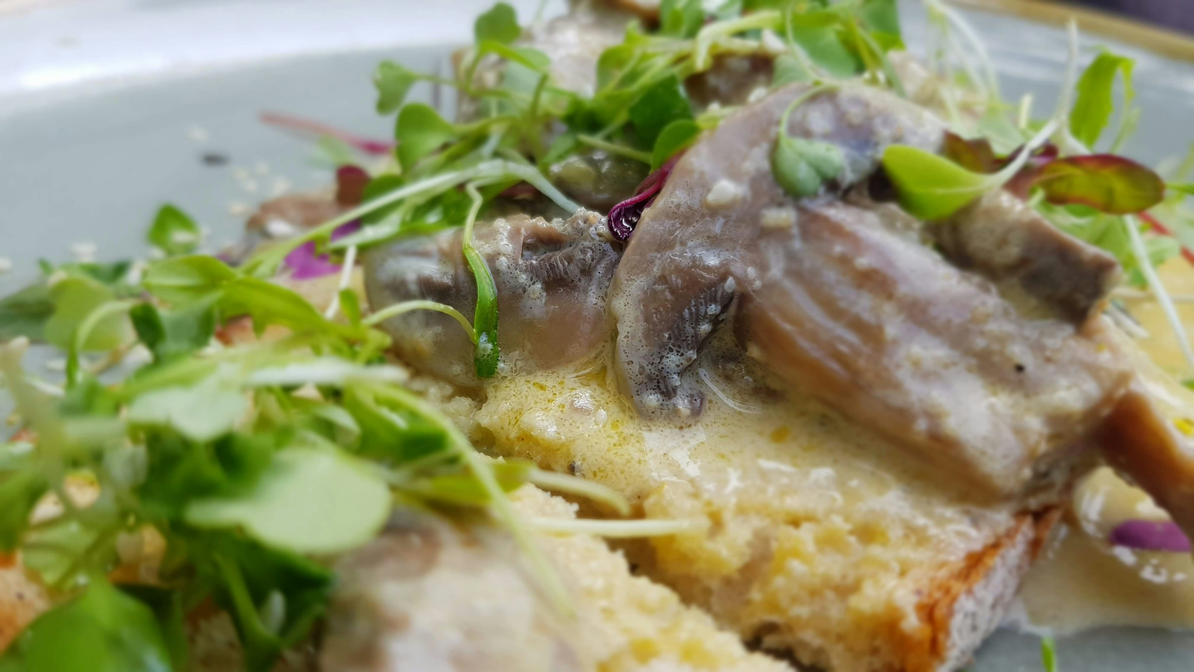 Herb-Infused Mushroom Medley at The Oak Tree Cafe