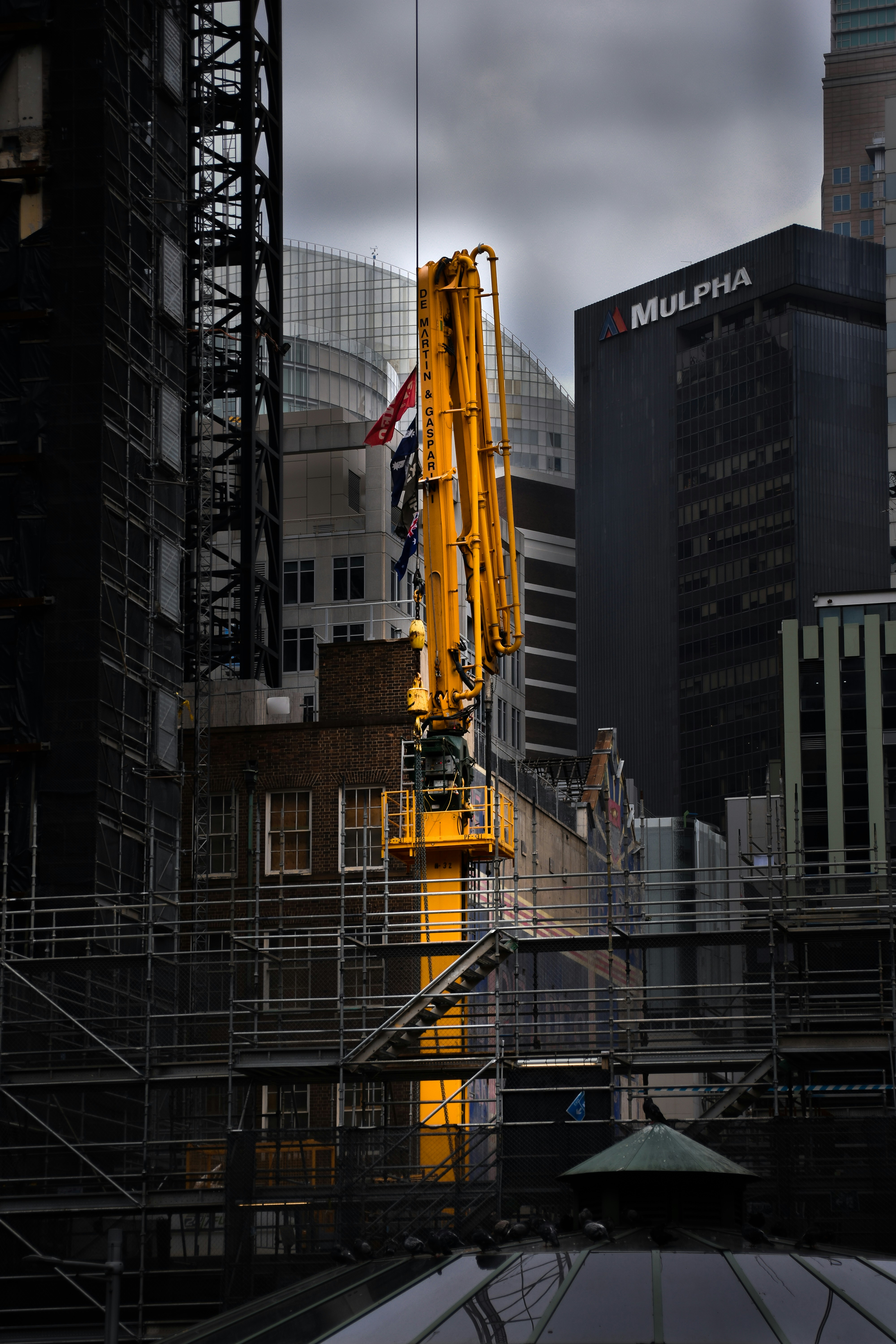 selective photo of craneDean Bennett