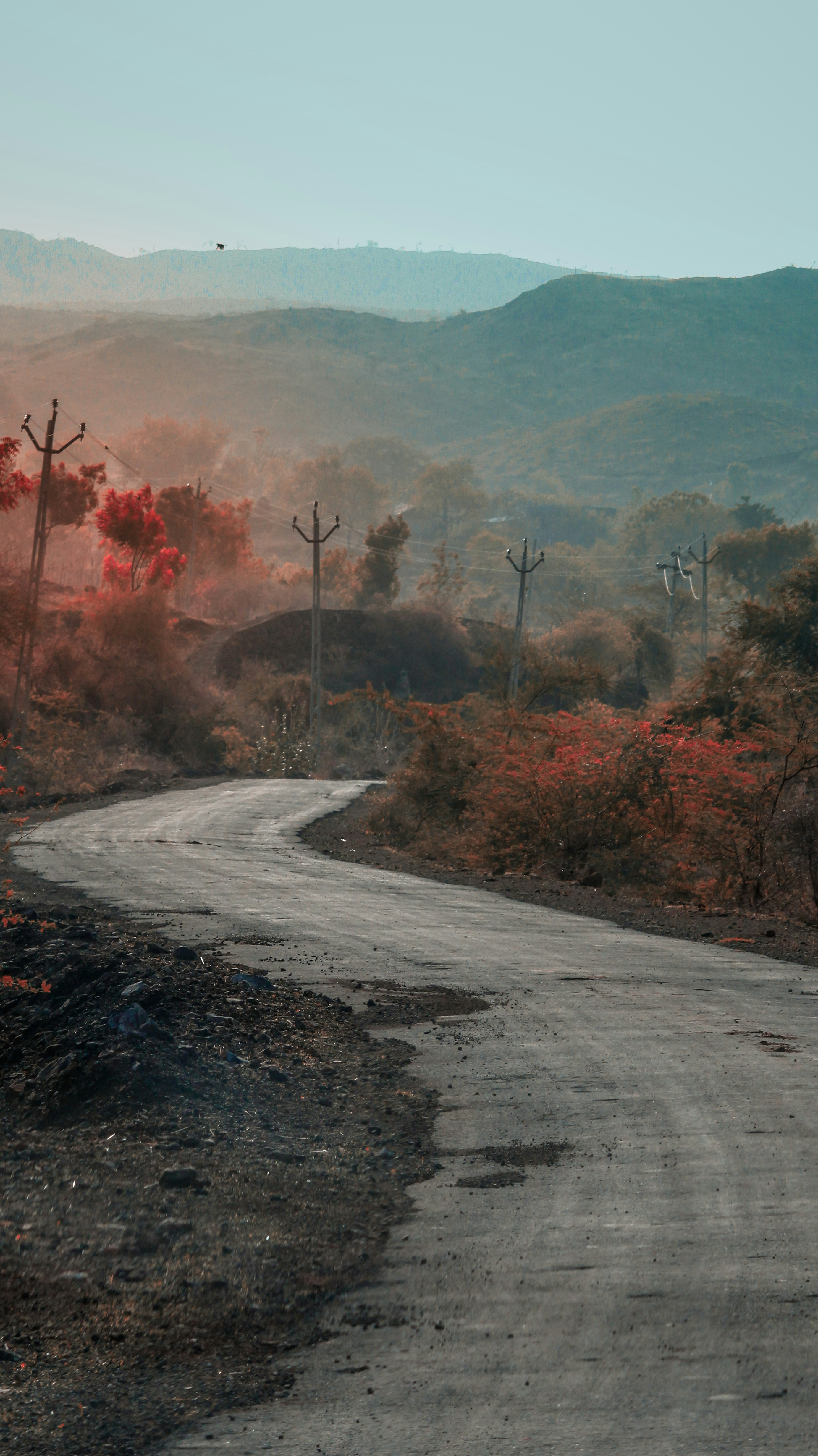 View of dirt road through rural area photo – Free Nature Image on Unsplash