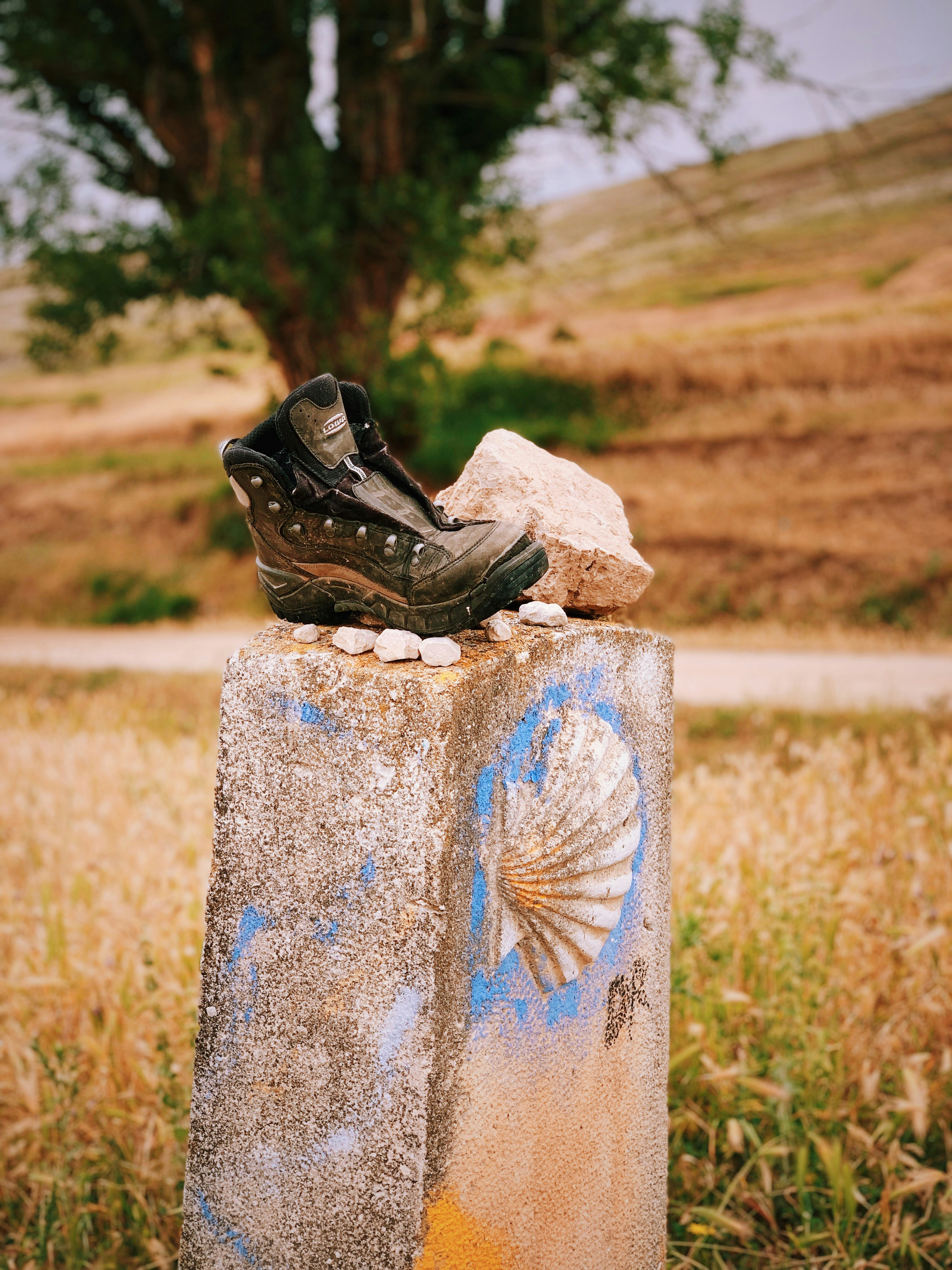 Perched Relic: A Boot on a Shell-Marked Pillar in a Sunlit Field