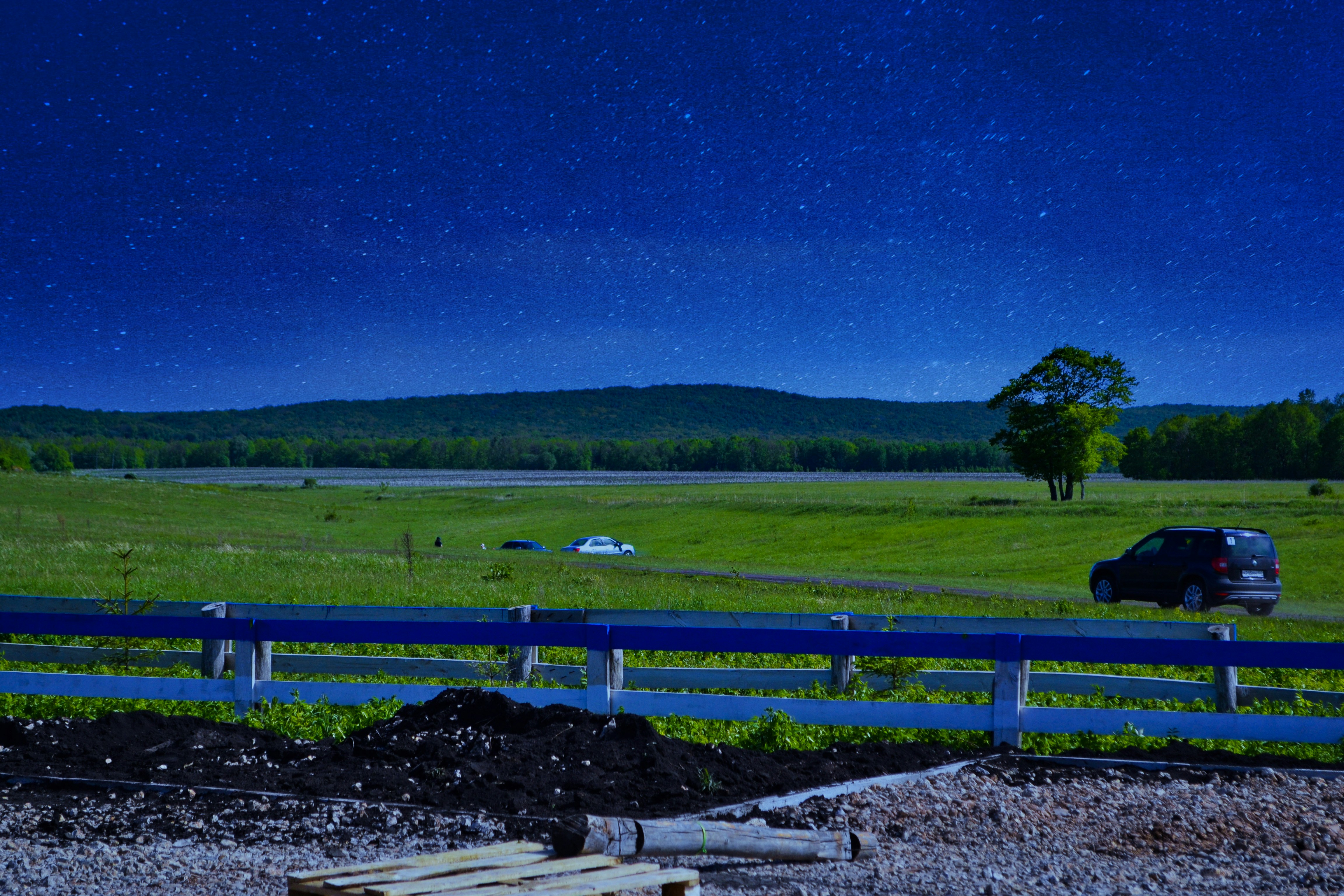 Lone Tree Beneath a Velvet Night Sky Over a Quiet Farmland