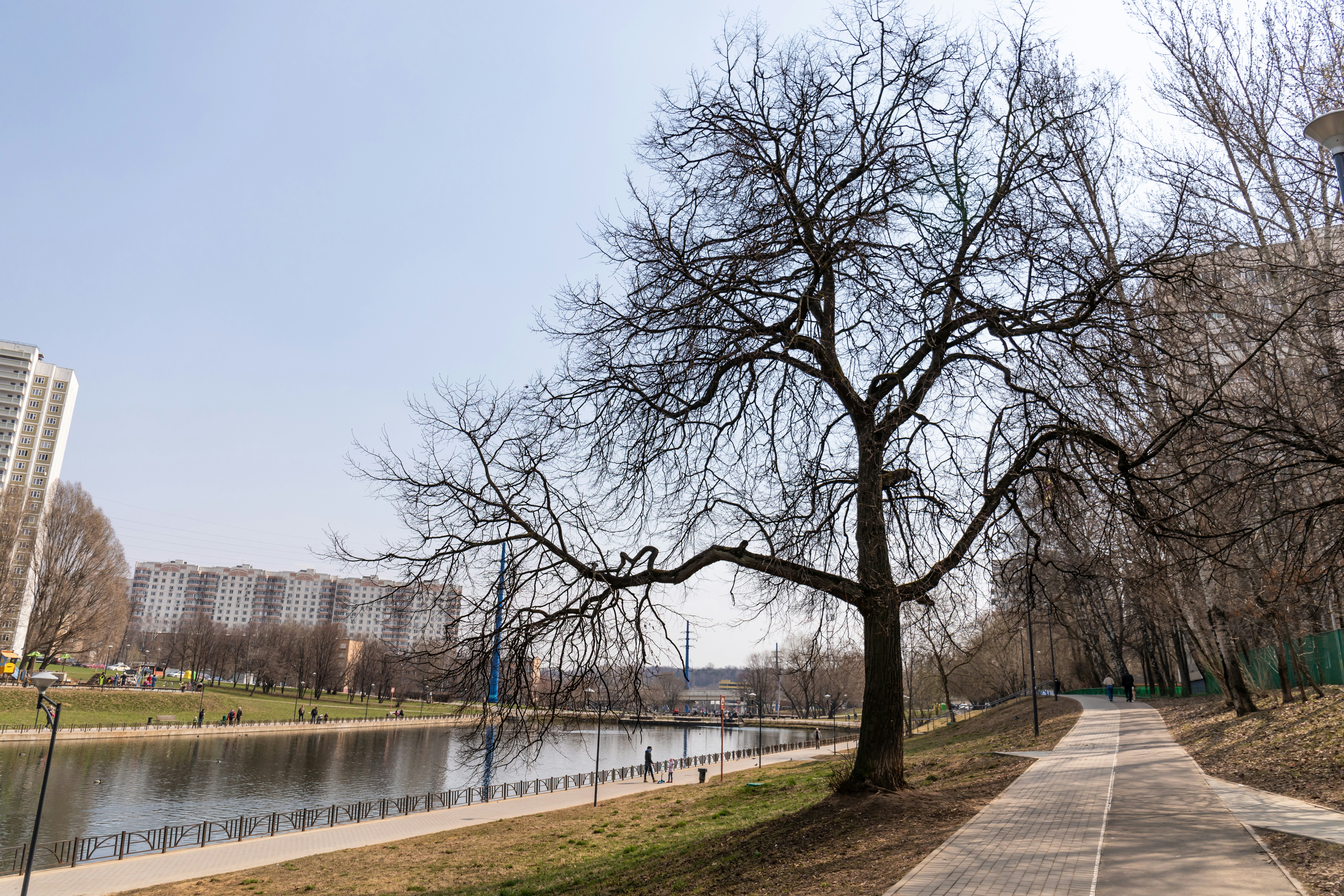 Winter Courtyard by the Water: A City Park Portrait