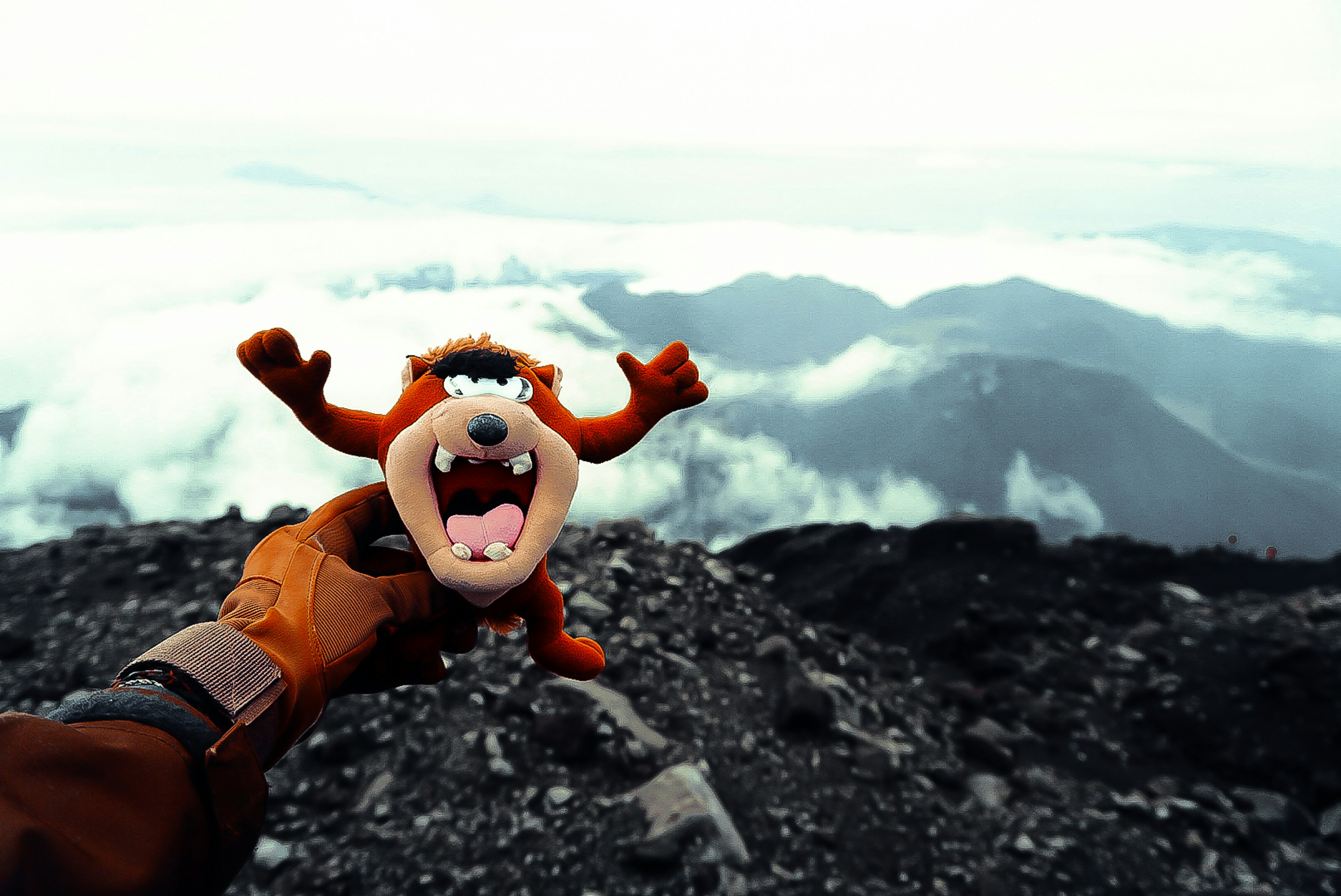 Taz plush toy photo – Free Human Image on Unsplash