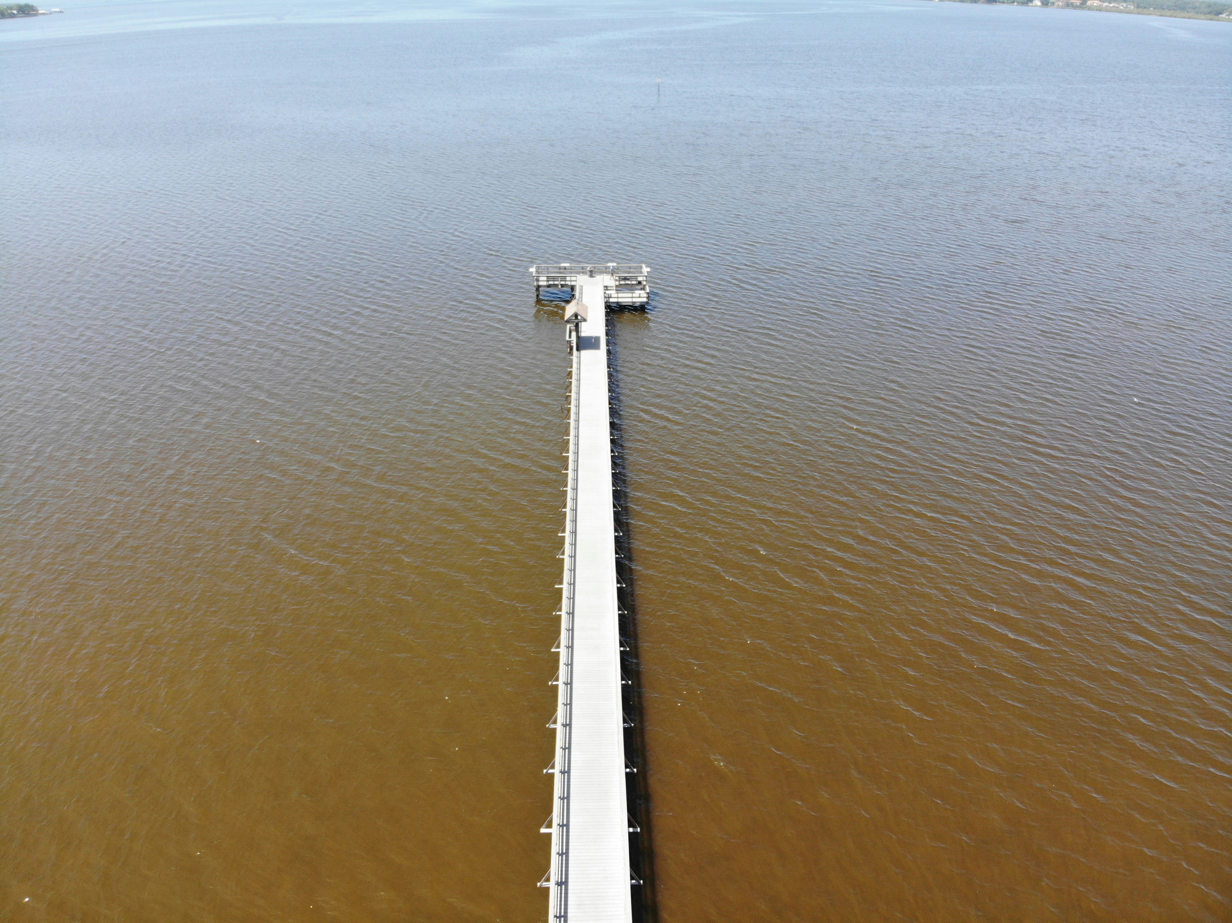 White dock in beach photo – Free Oldsmar Image on Unsplash