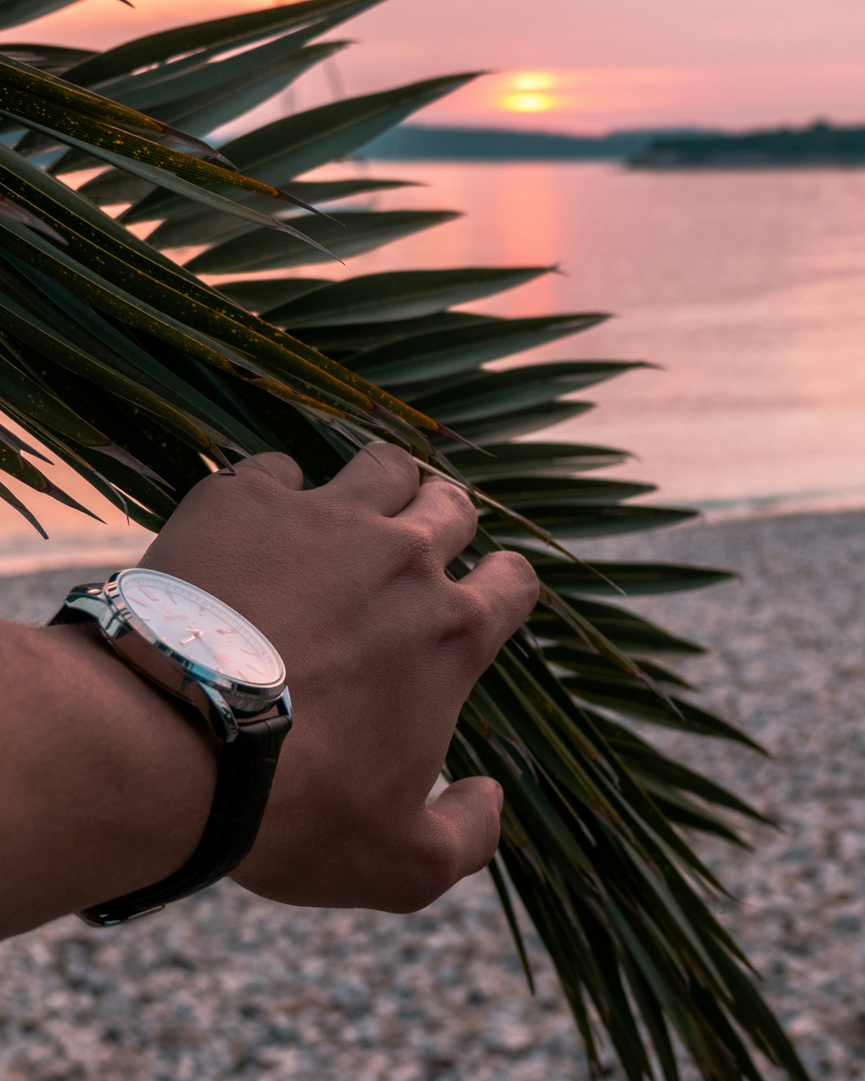 Sunset Grip: A Wristwatch Holds Ground by the Lake