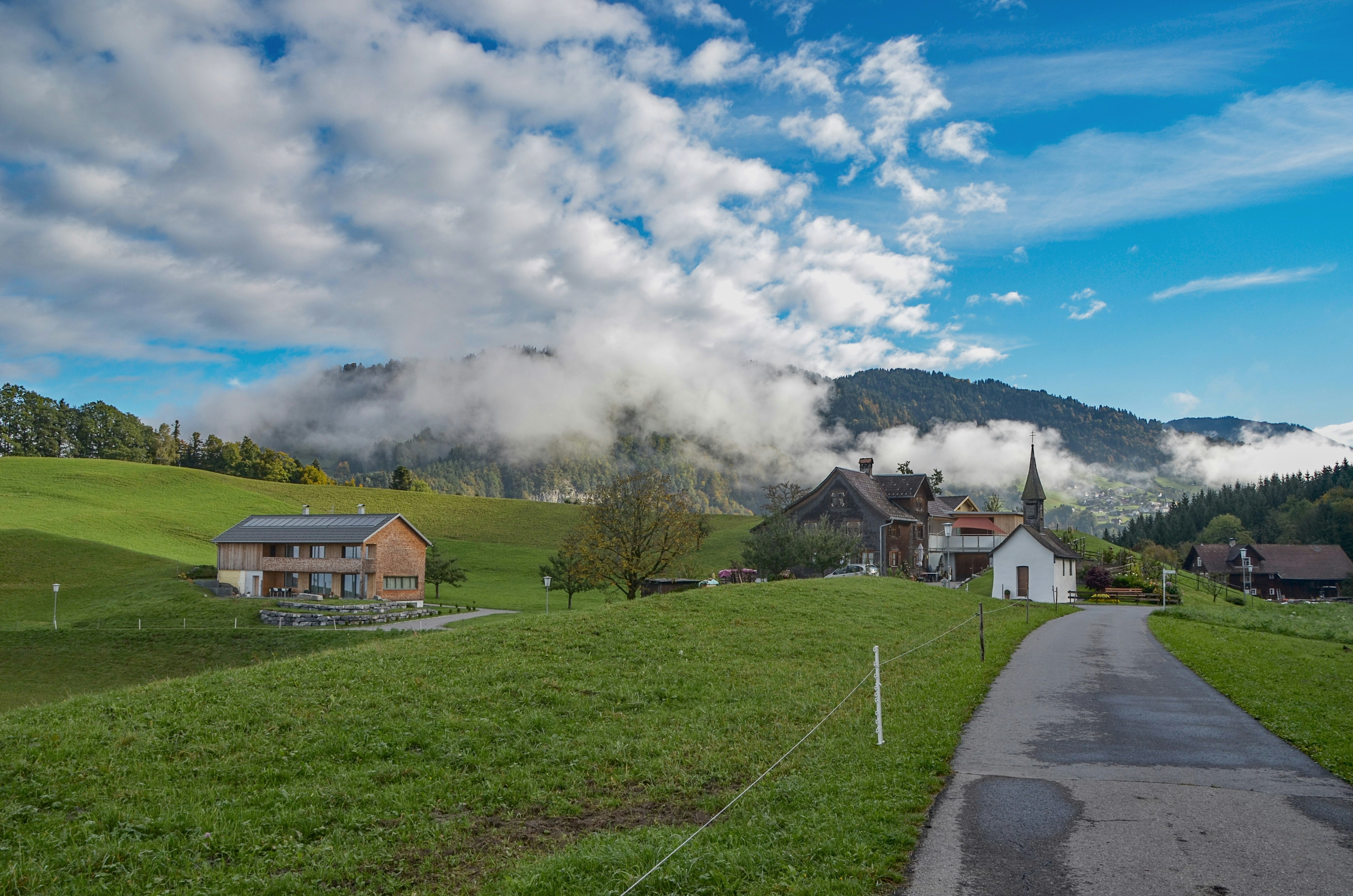 Misty Morning in the Alpine Countryside