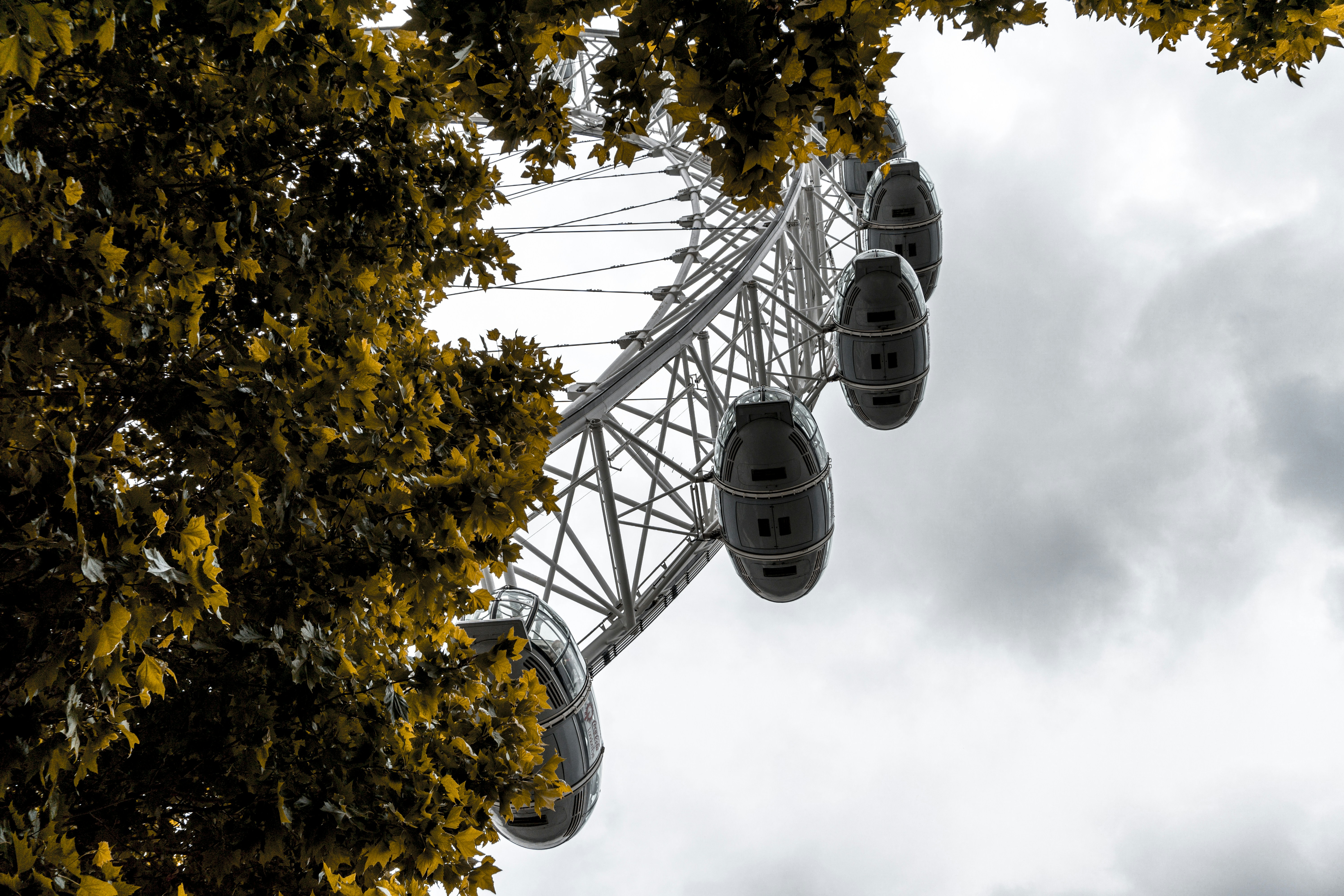 Grey Ferris wheel in park photo – Free London eye Image on Unsplash