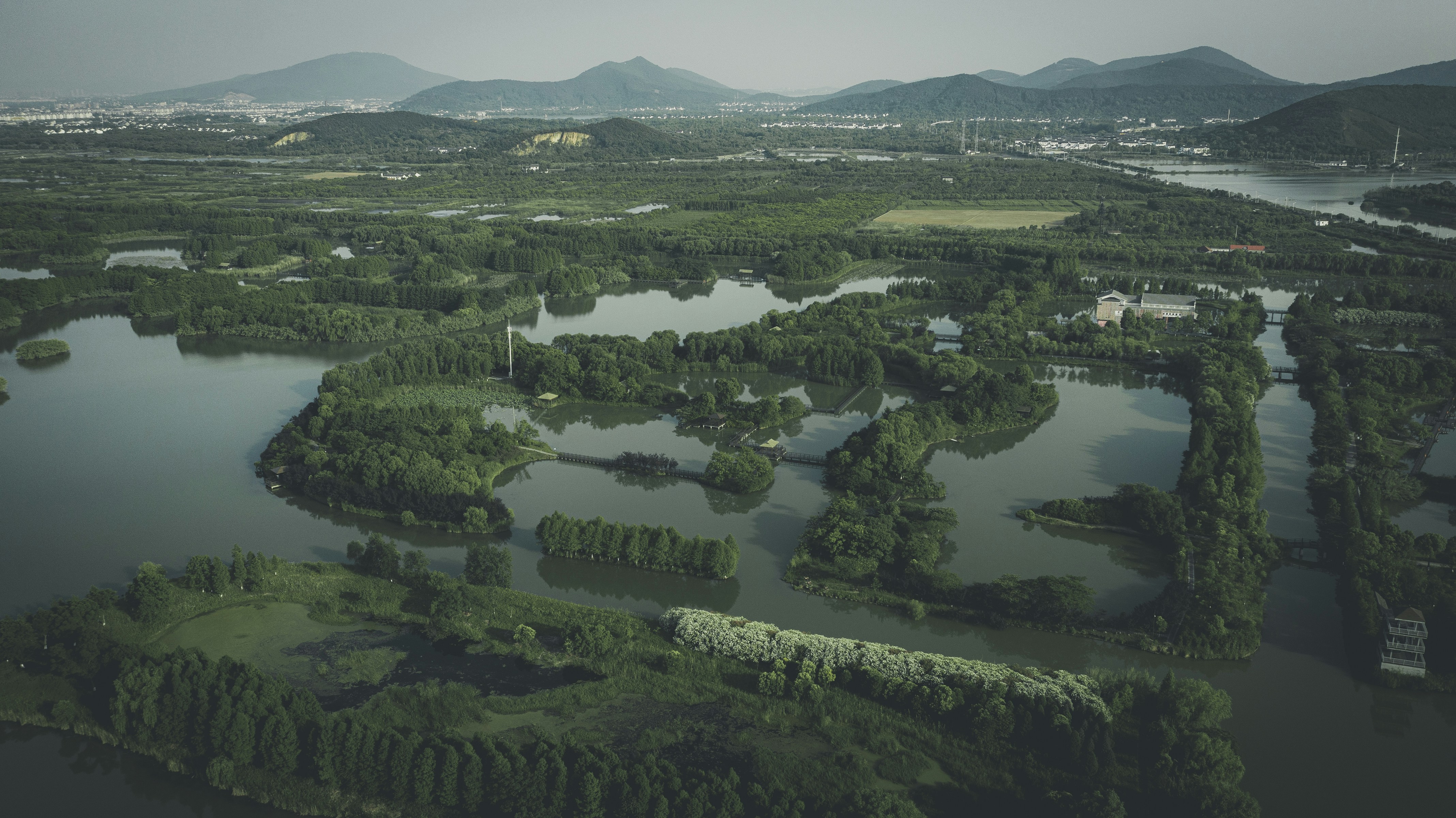 Expansive view of verdant wetlands interspersed with water bodies, showcasing the intricate patterns of nature. The scene highlights the harmony between land and water.