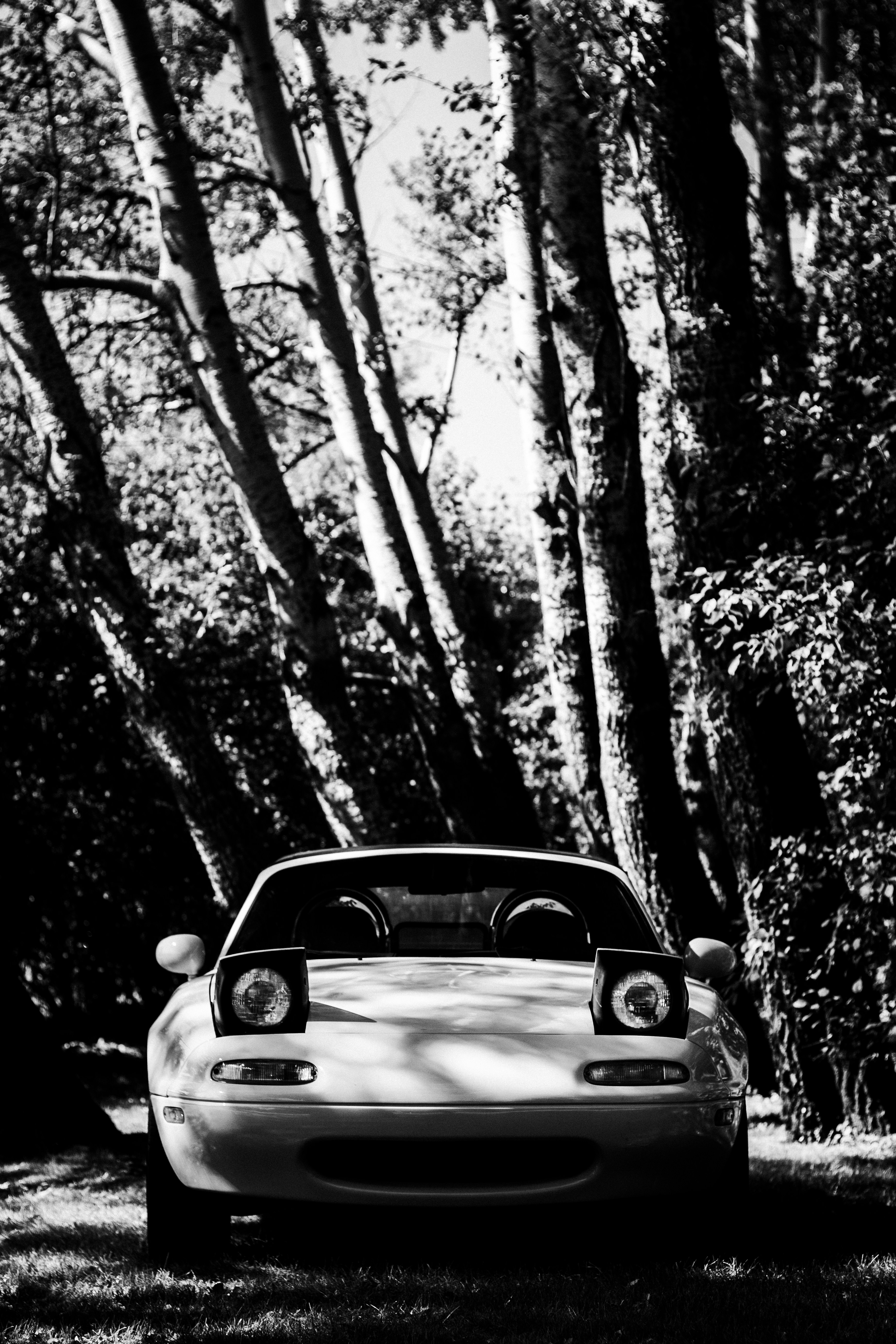 Robert Rodrigues (@zoreizu) | Communauté photos Unsplash