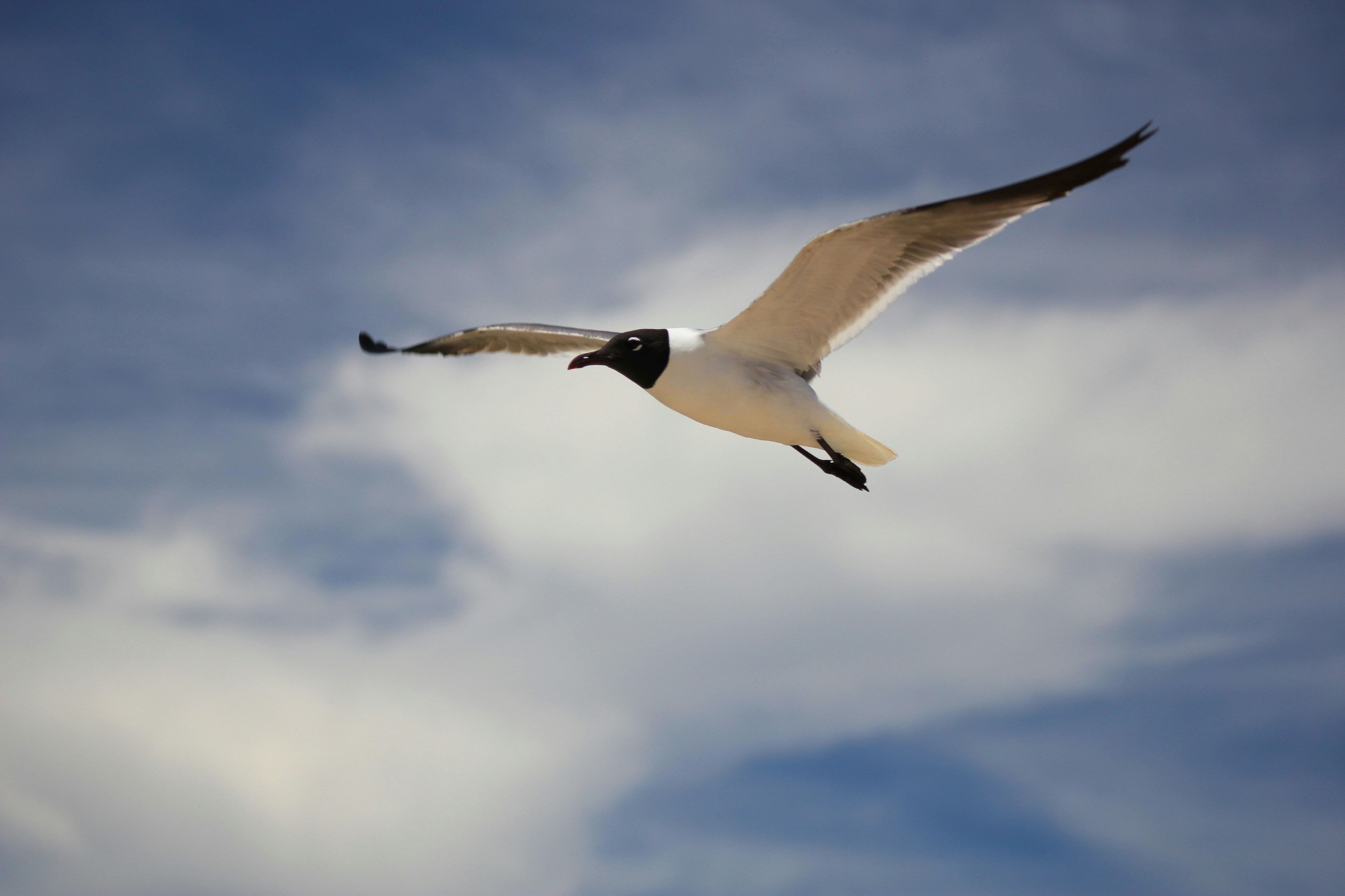 Mike Delima (@delimastudio) | Unsplash Photo Community