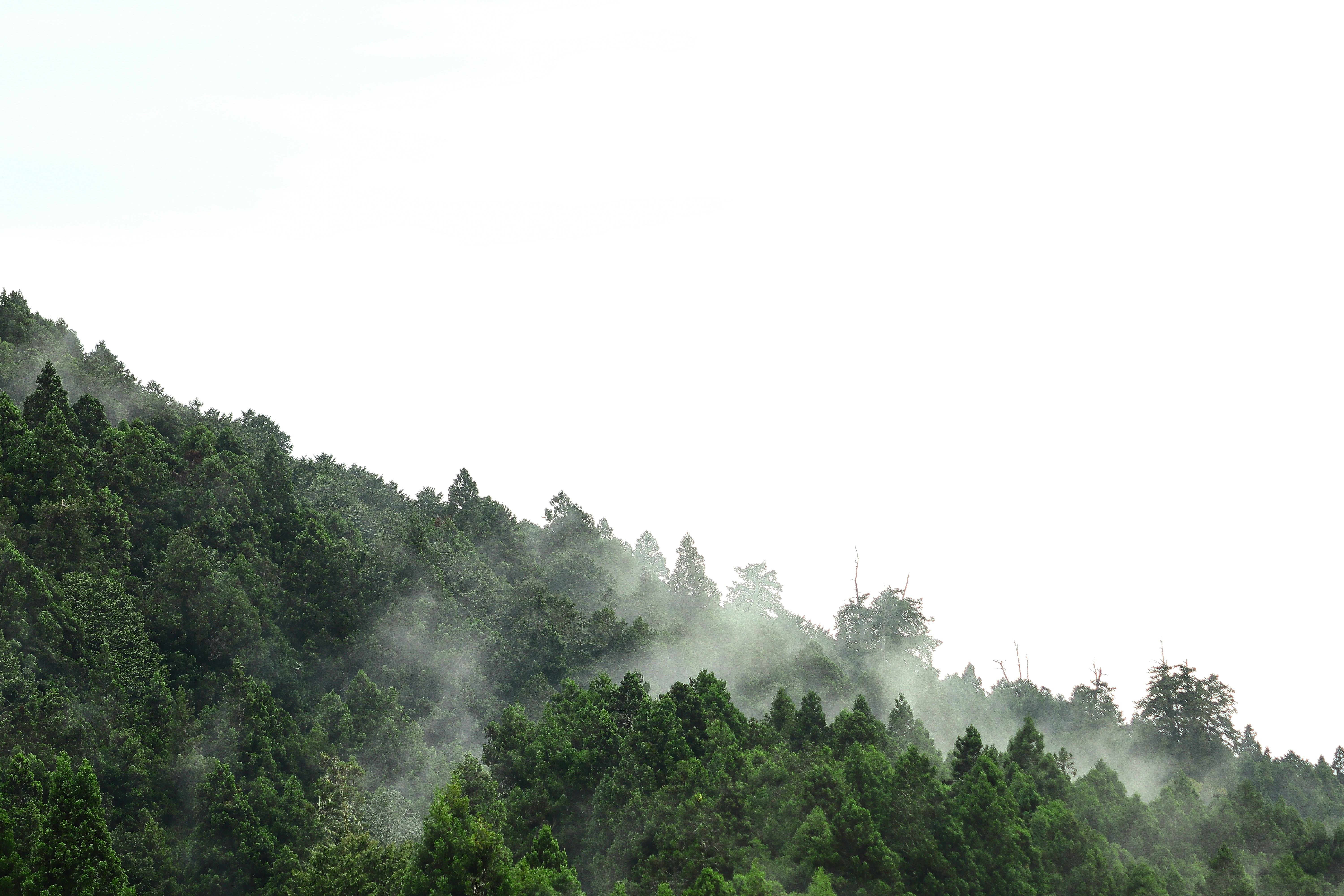 Photo by Samuel Toh with Canon EOS M50