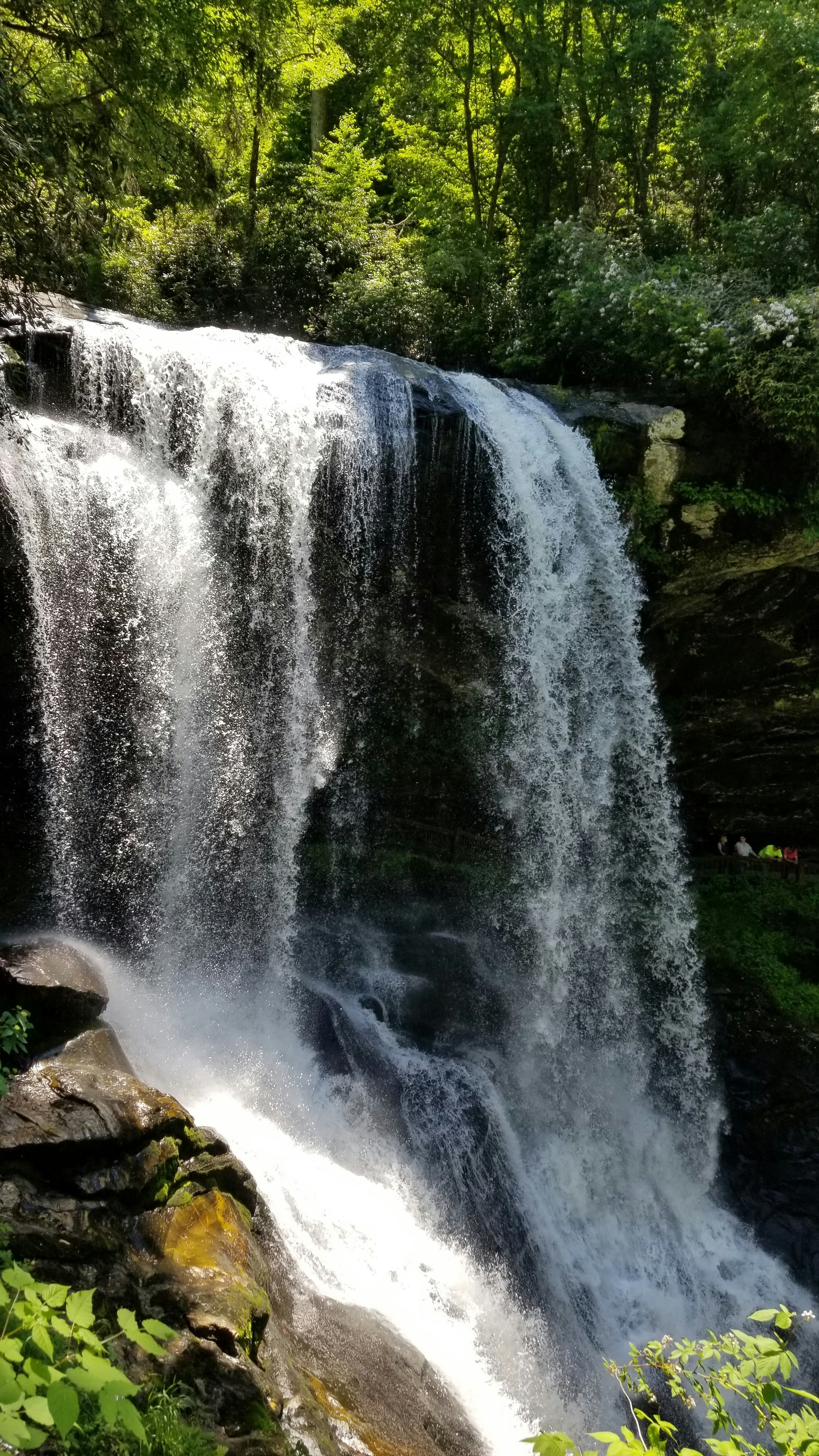 Nature's Cascade: A Symphony of Water and Green