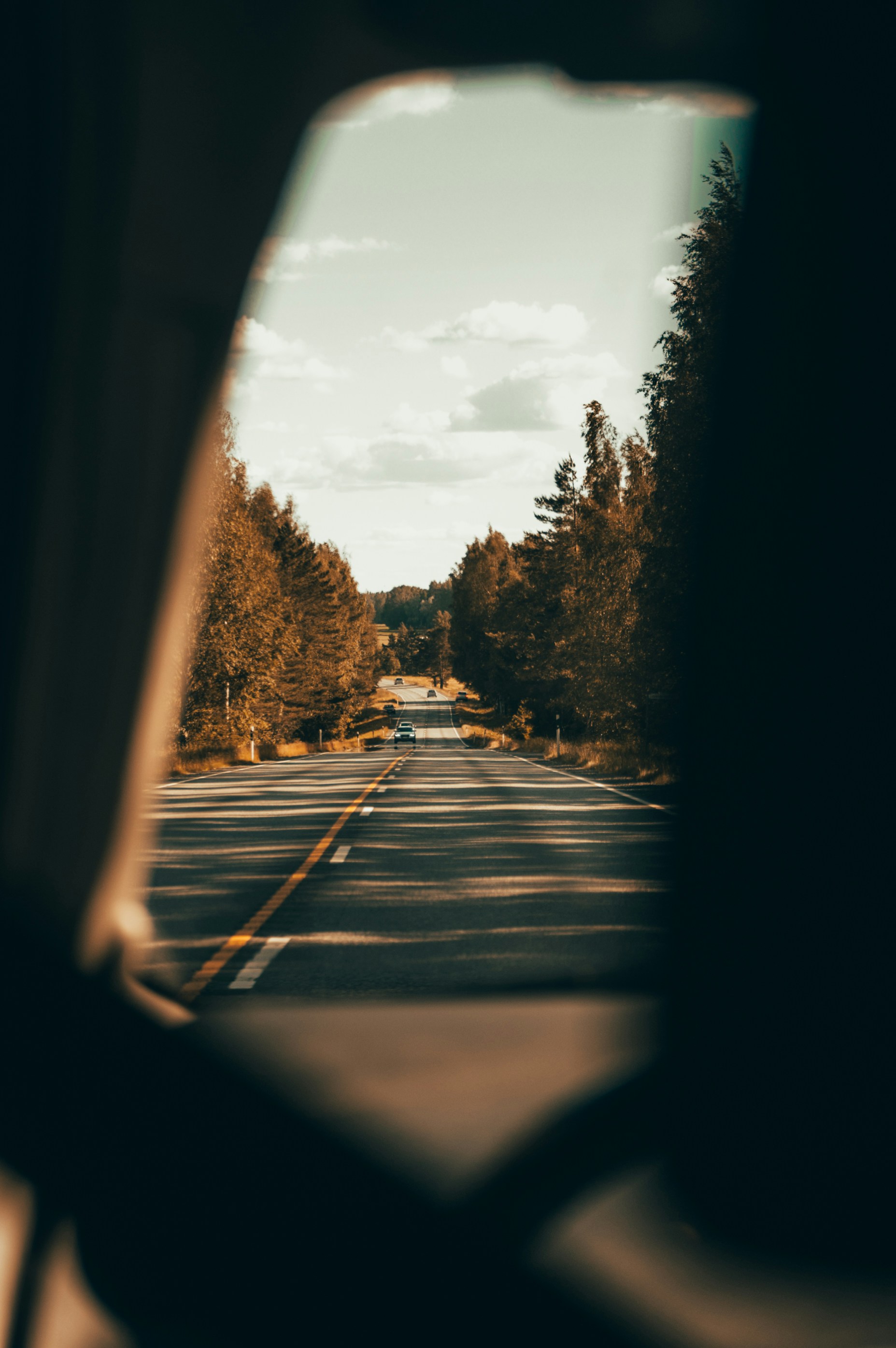 Photograph of a tree-lined highway viewed through a car window, bathed in warm autumn light, with a distant vehicle centered on the road.