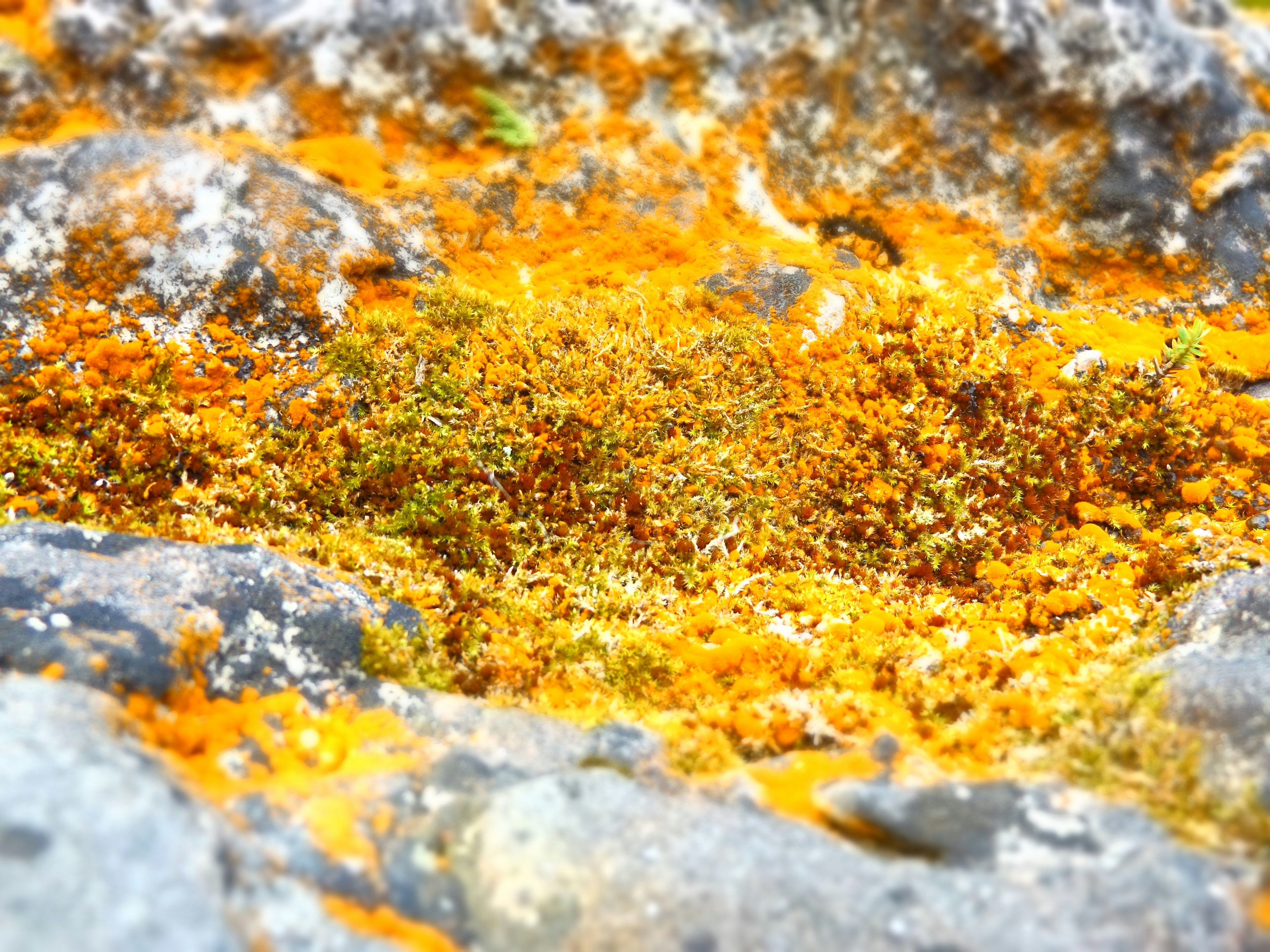 Sample photo from Fujifilm FinePix S8600